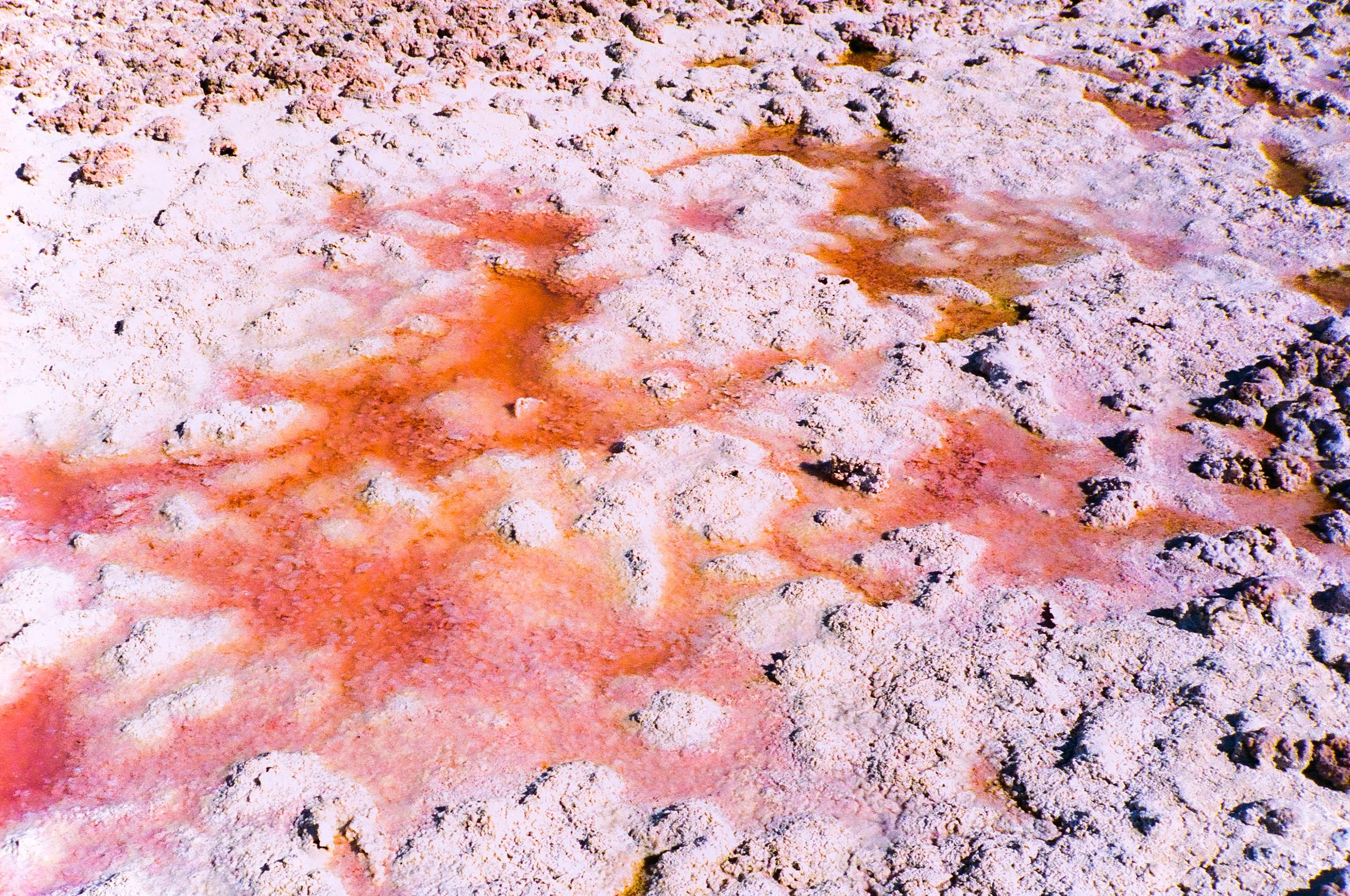 baja — BENJAMIN ONO