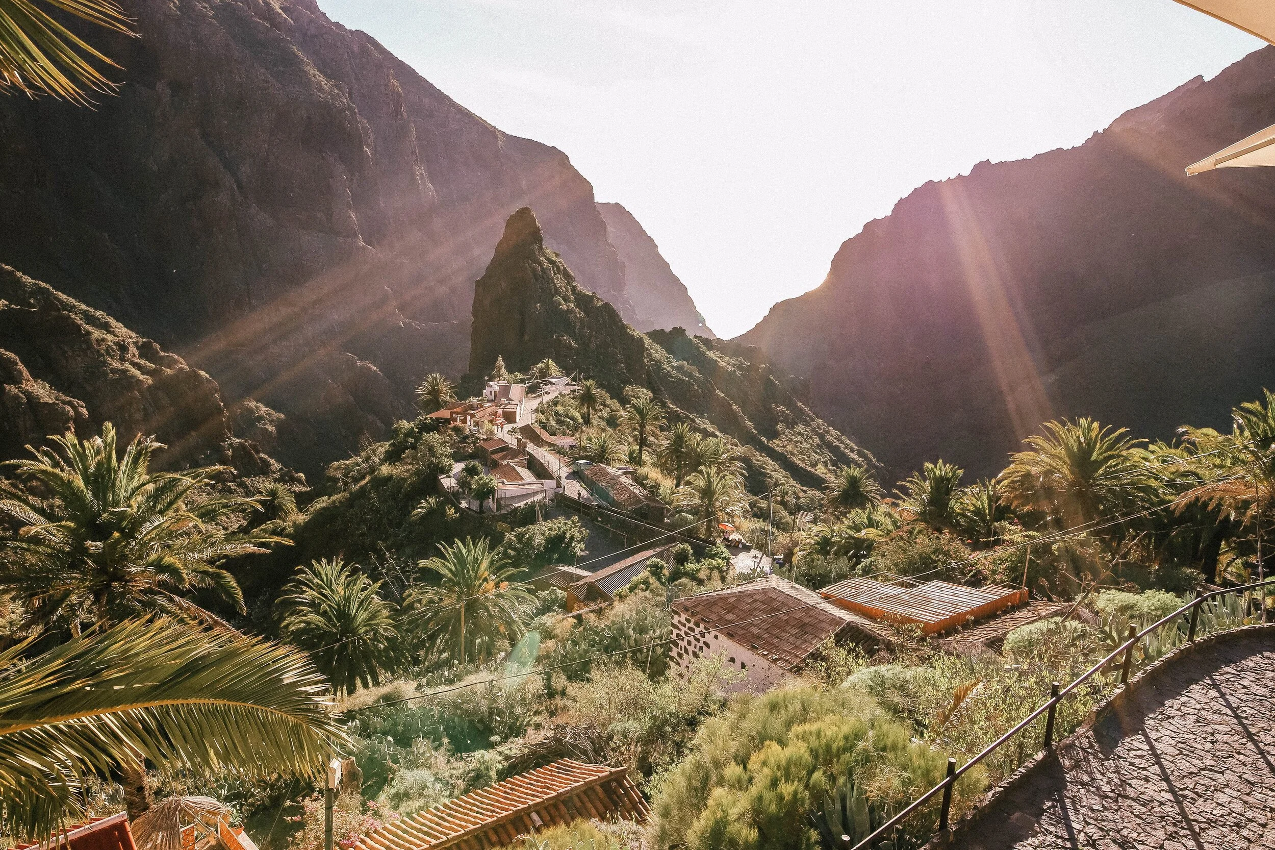 Tenerife North VS South - The Battle — Nine Coliving