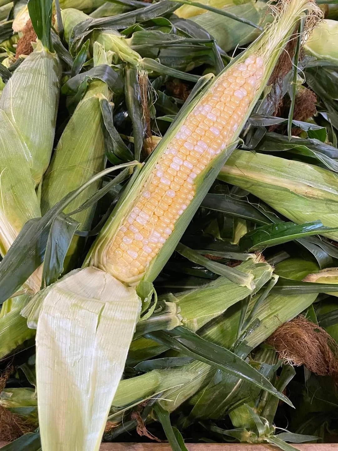 Online Store — Way Farms