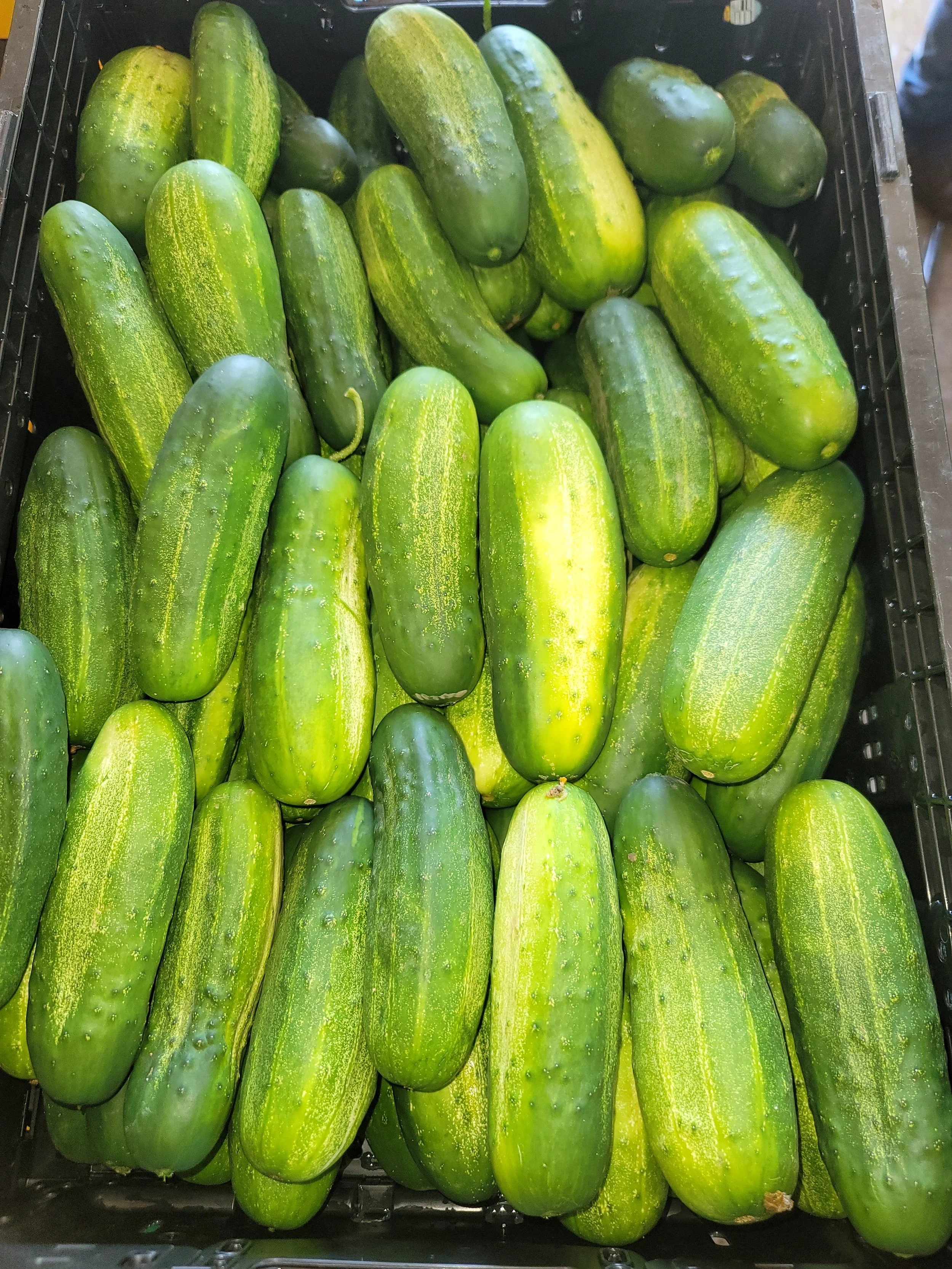 Market Locations — Way Farms