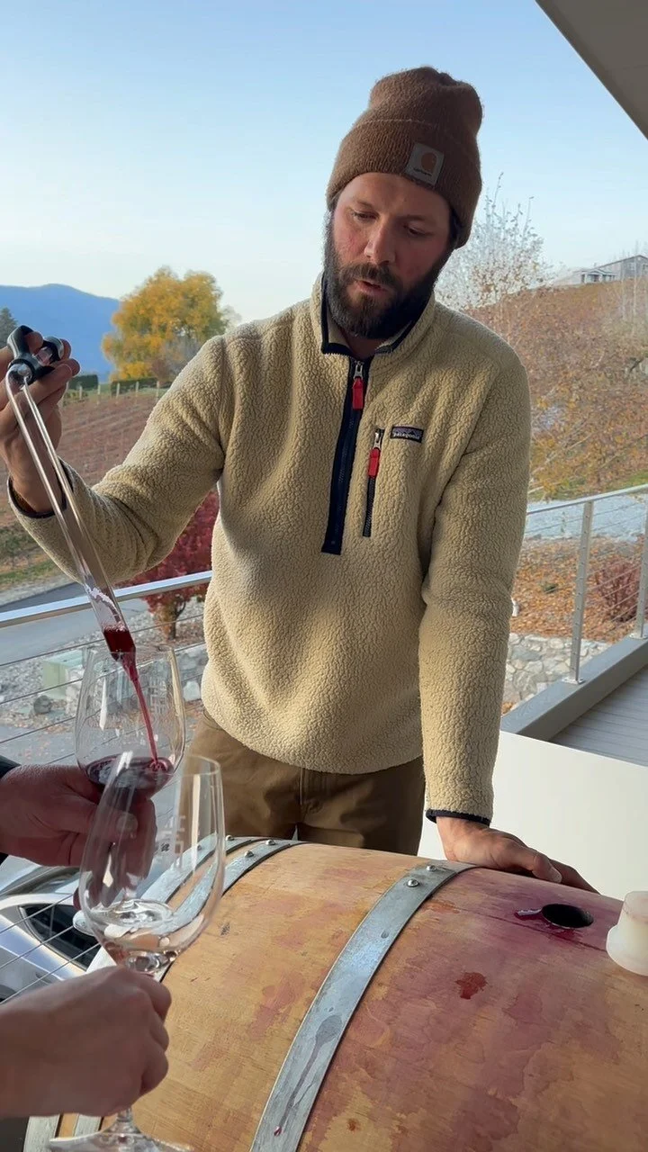 Wine Club — Amos Rome Vineyards