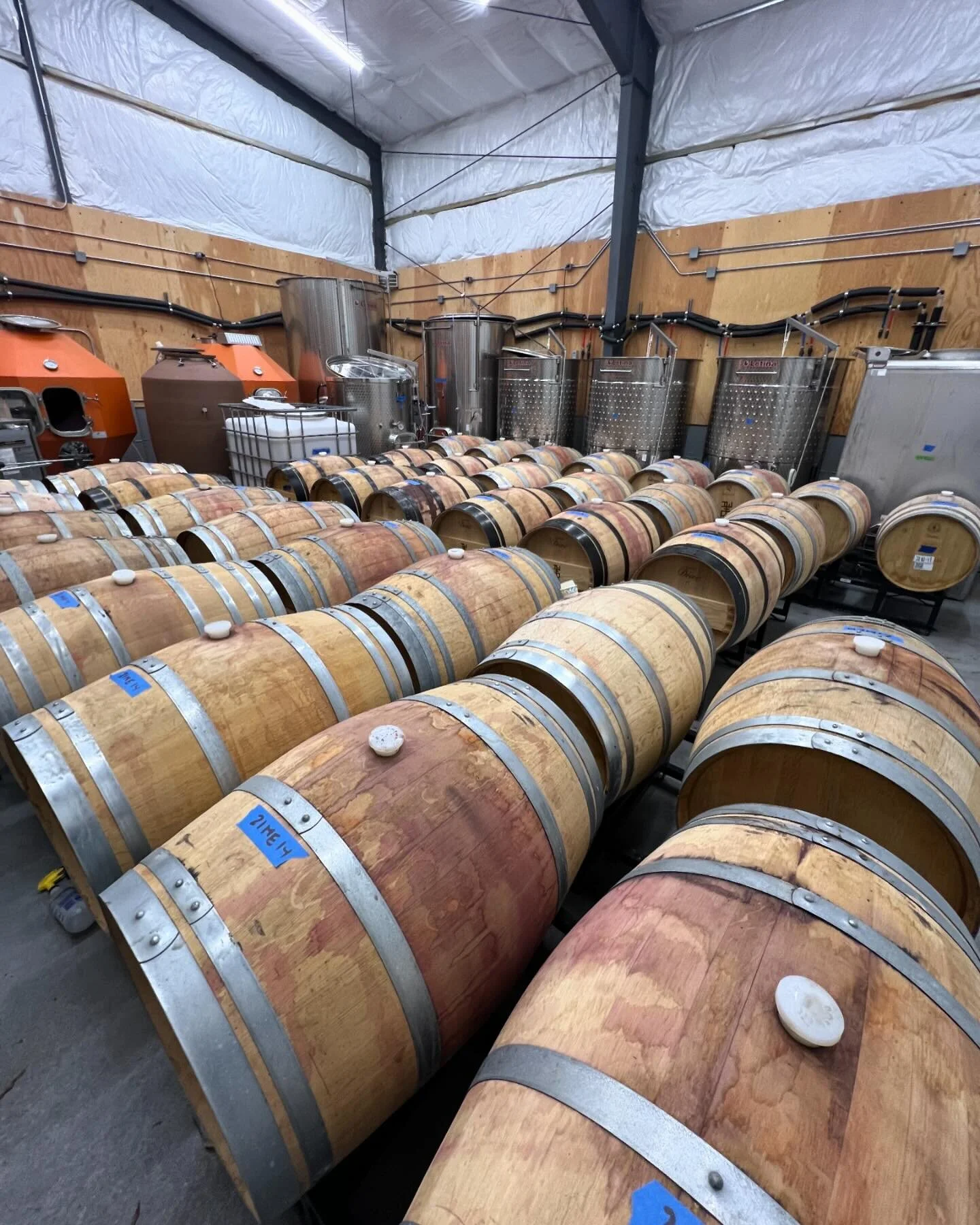 Visit with Santa — Amos Rome Vineyards