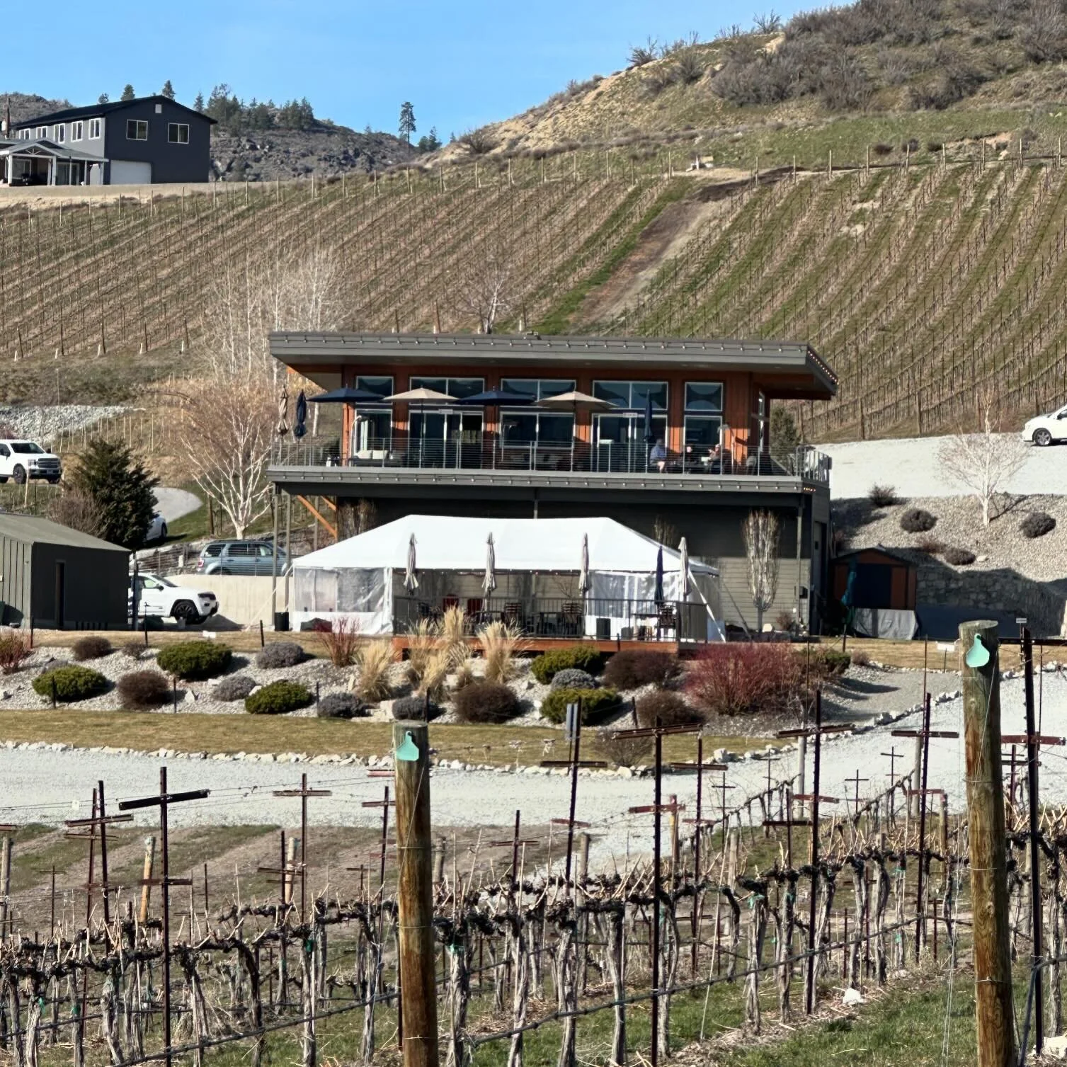 Contact — Amos Rome Vineyards