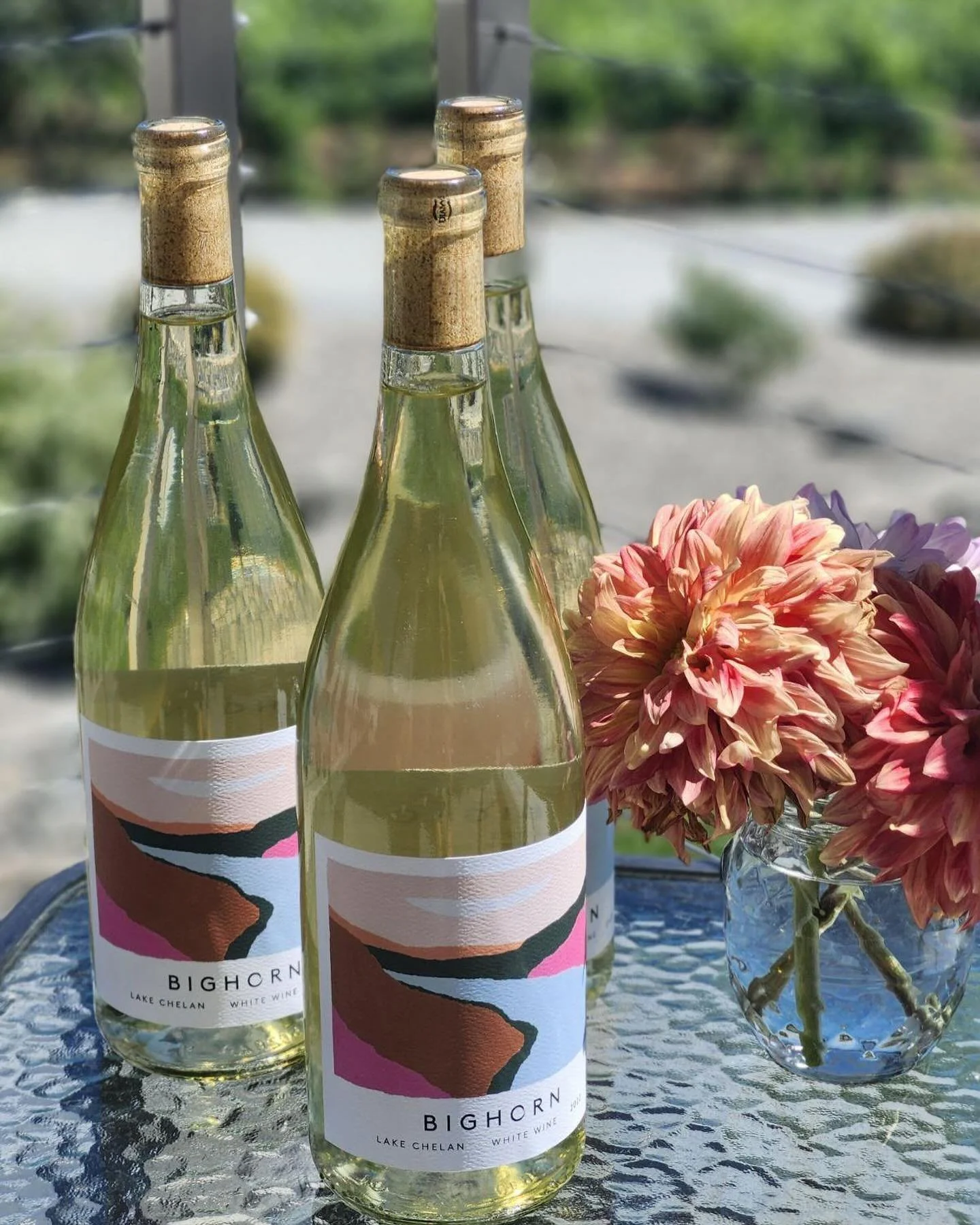 Calendar — Amos Rome Vineyards