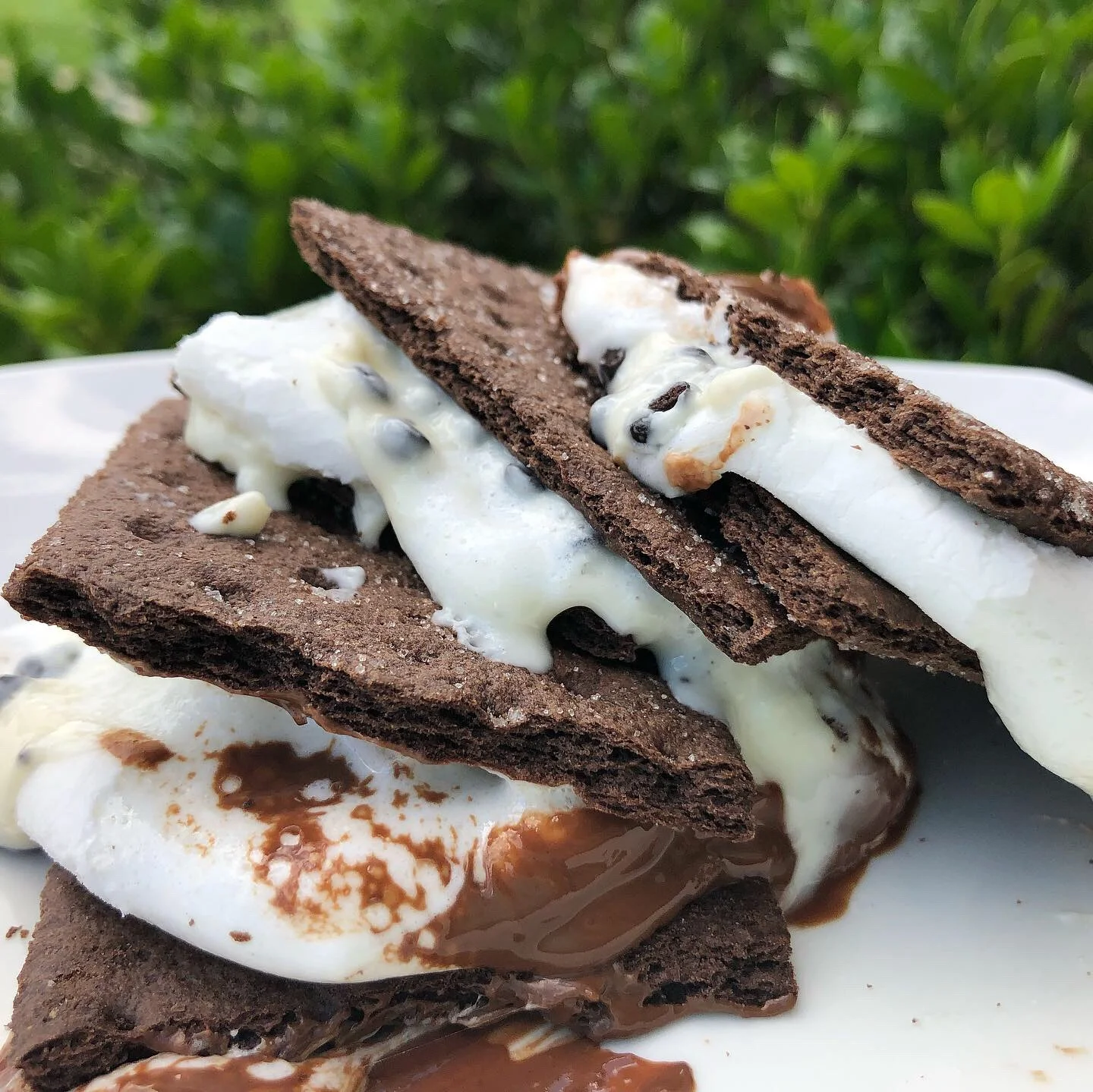 Oreo S'mores- or what we call S'mOREOs — Helping of Happiness