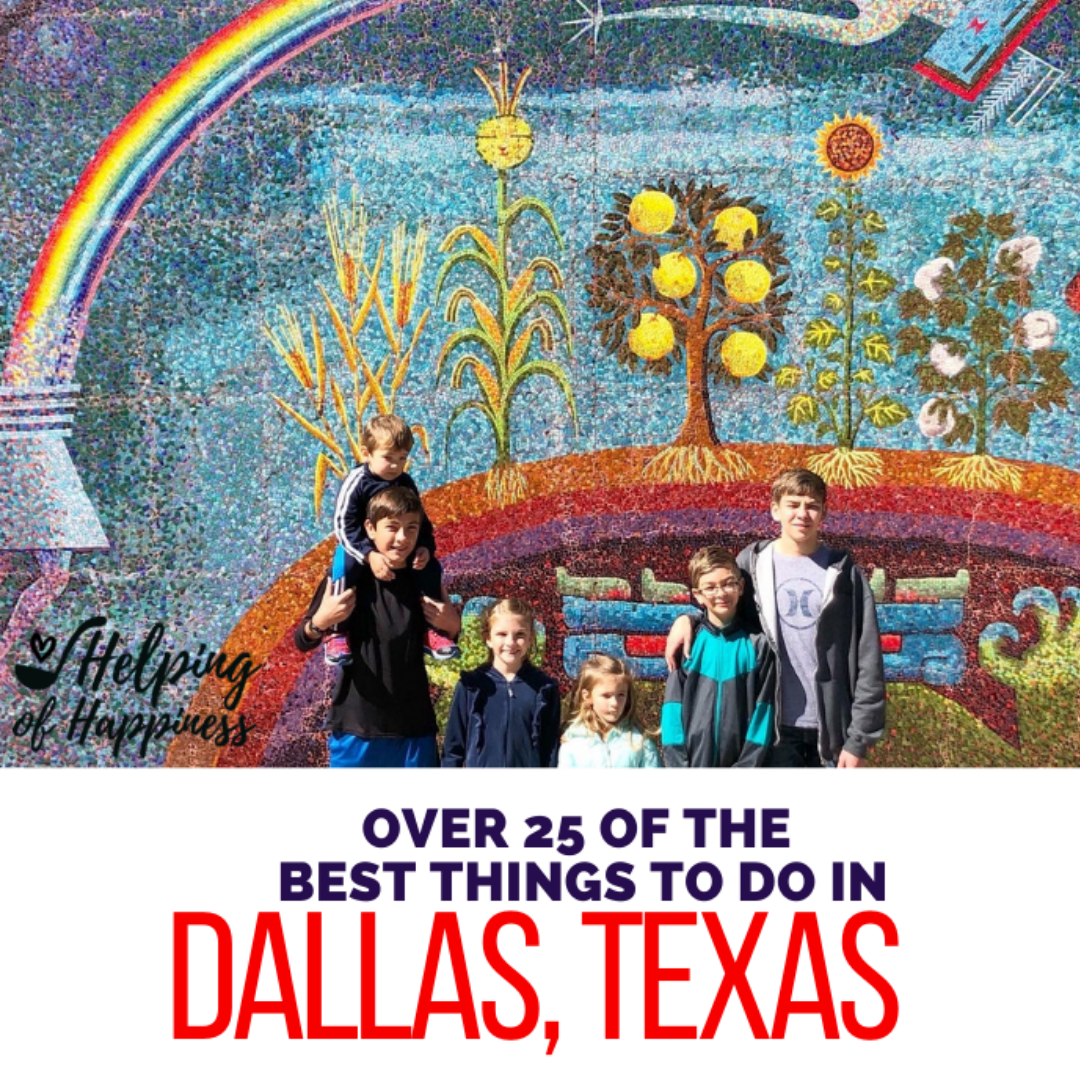 Family Fun in Dallas Texas - Over 25 Places of Interest !! — Helping of ...