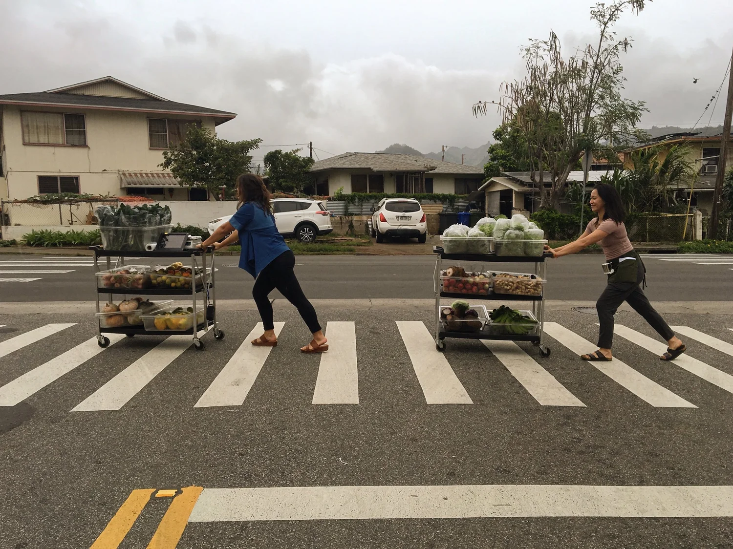 Rolling Roots Mobile Market — Kōkua Kalihi Valley