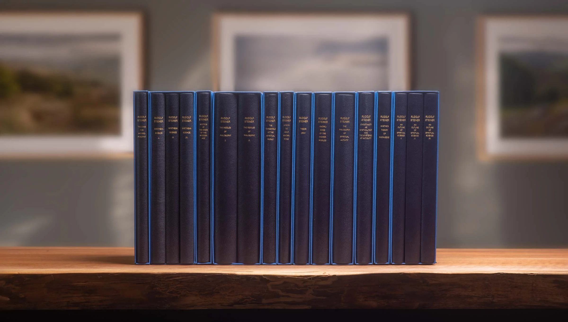 SteinerBooks