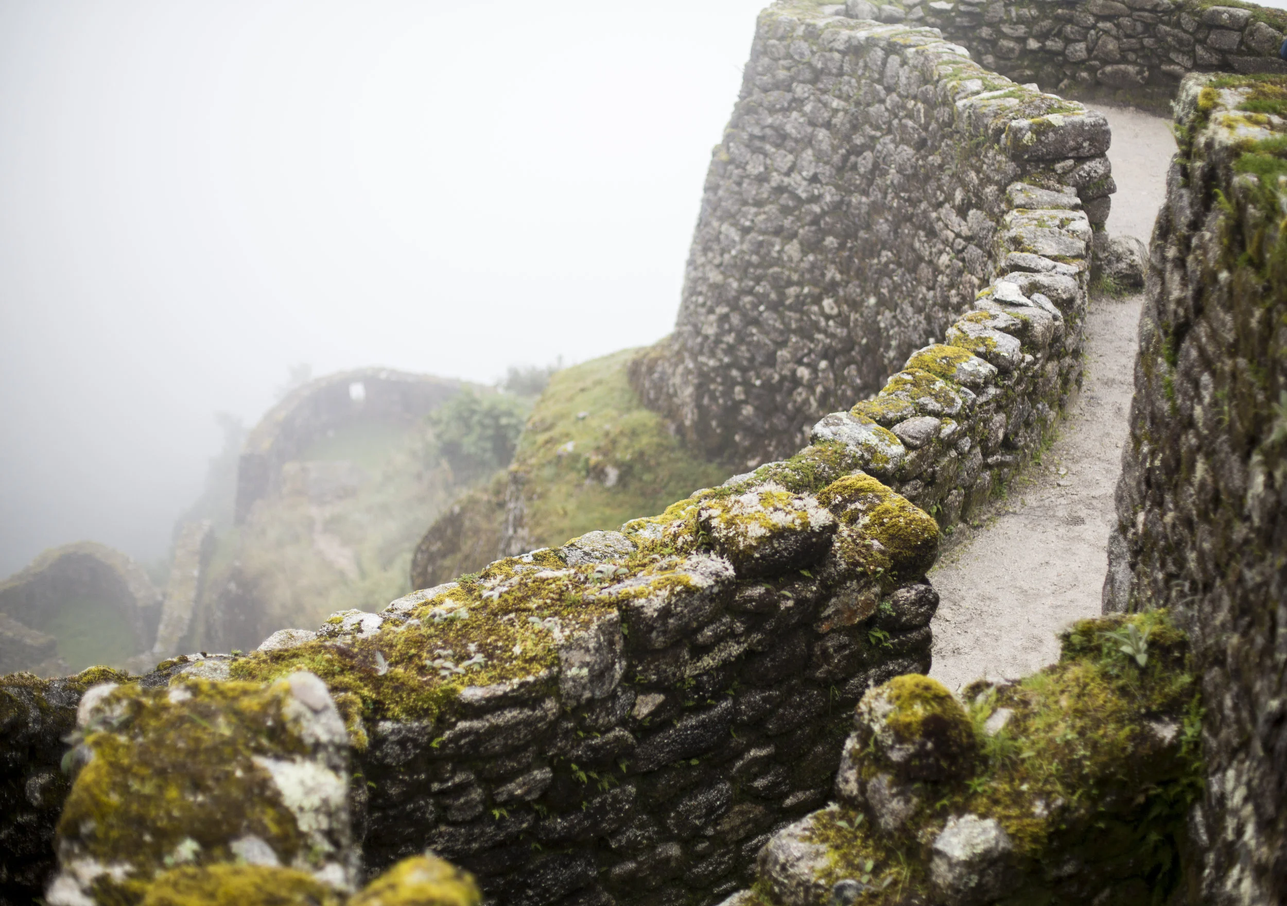 Cloud Forest Inca Trail