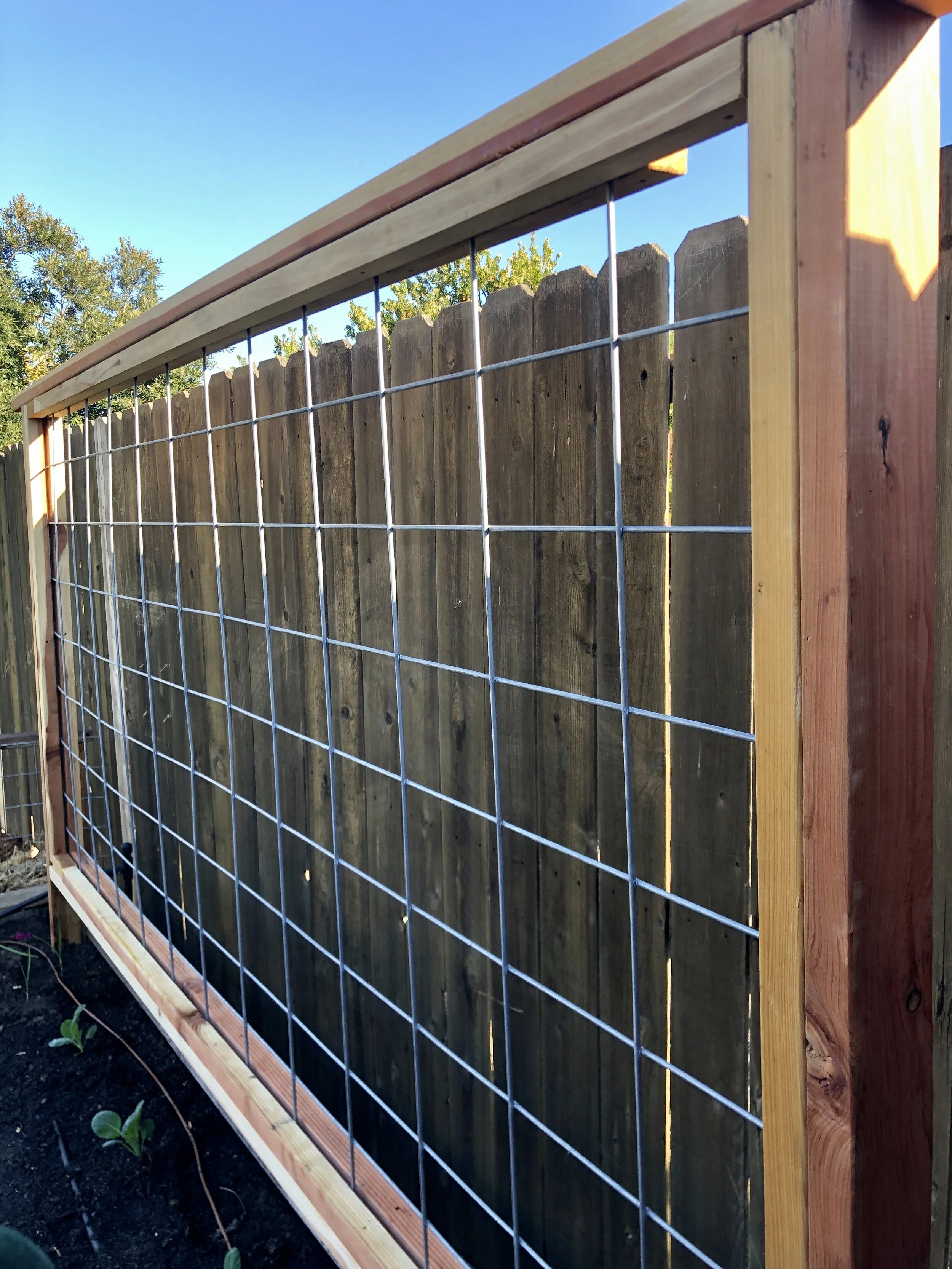 Steel Cattle Panels
