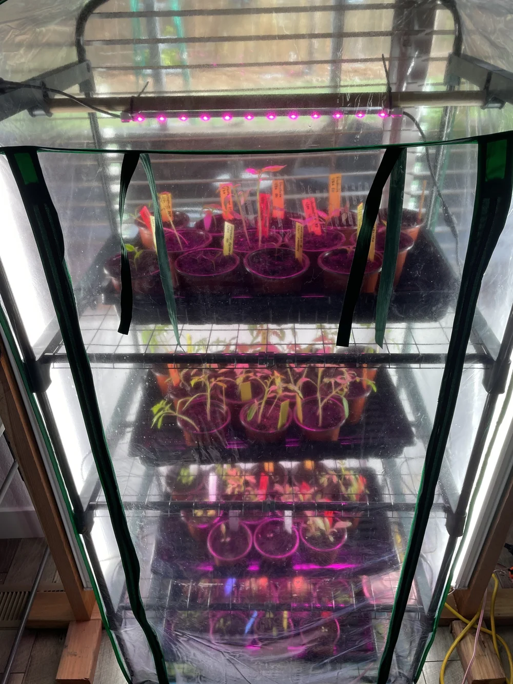 Easy & Simple Seed Starting Set-Up // What You Need to Start Seeds with ...