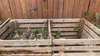 Heat Up Your Backyard Composting // How To Get Finished Compost FASTER ...