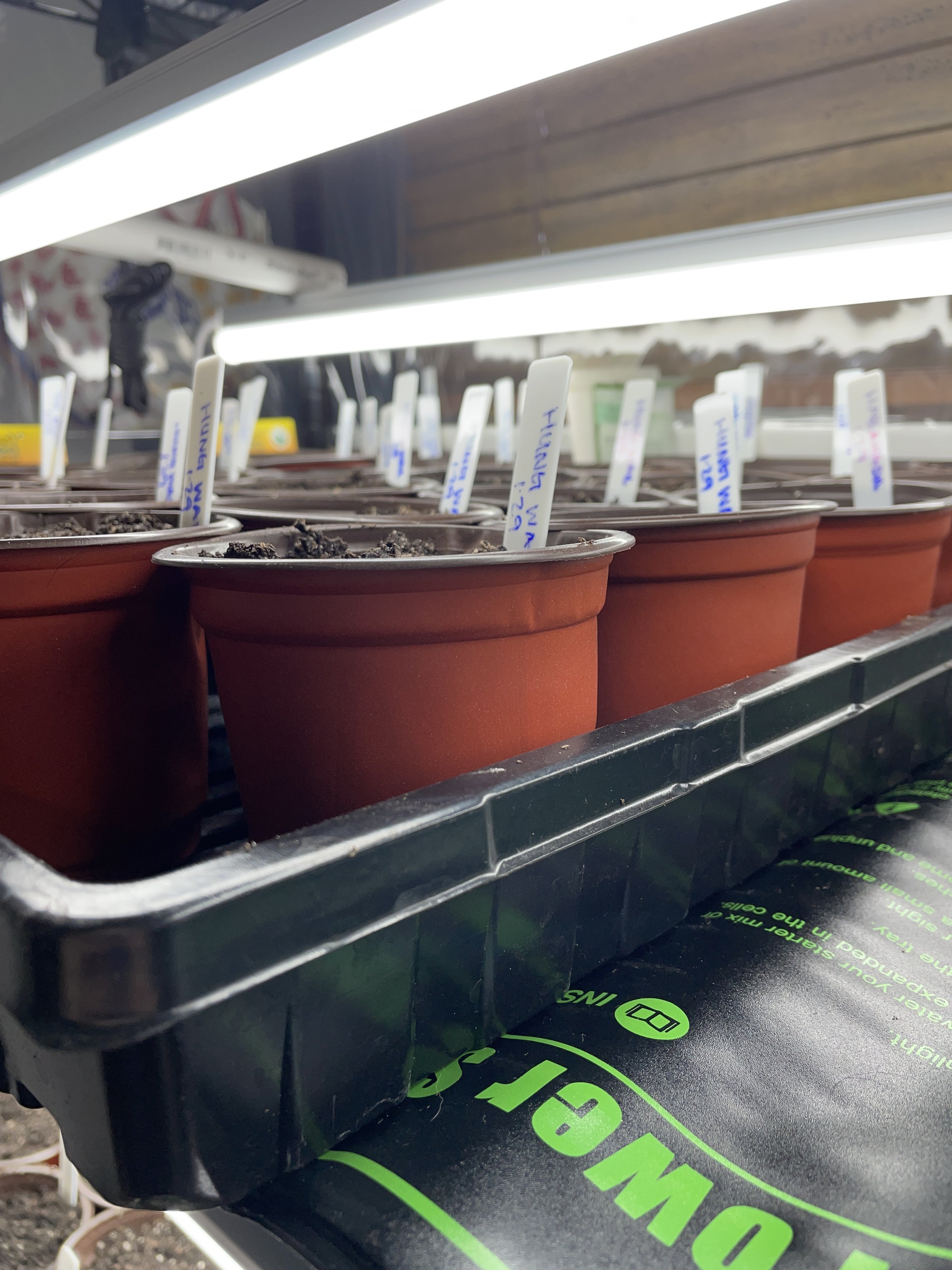 2025 DIY Indoor Seed-Starting Set-Up Using a 5-Shelf Wire Rack - Our ...