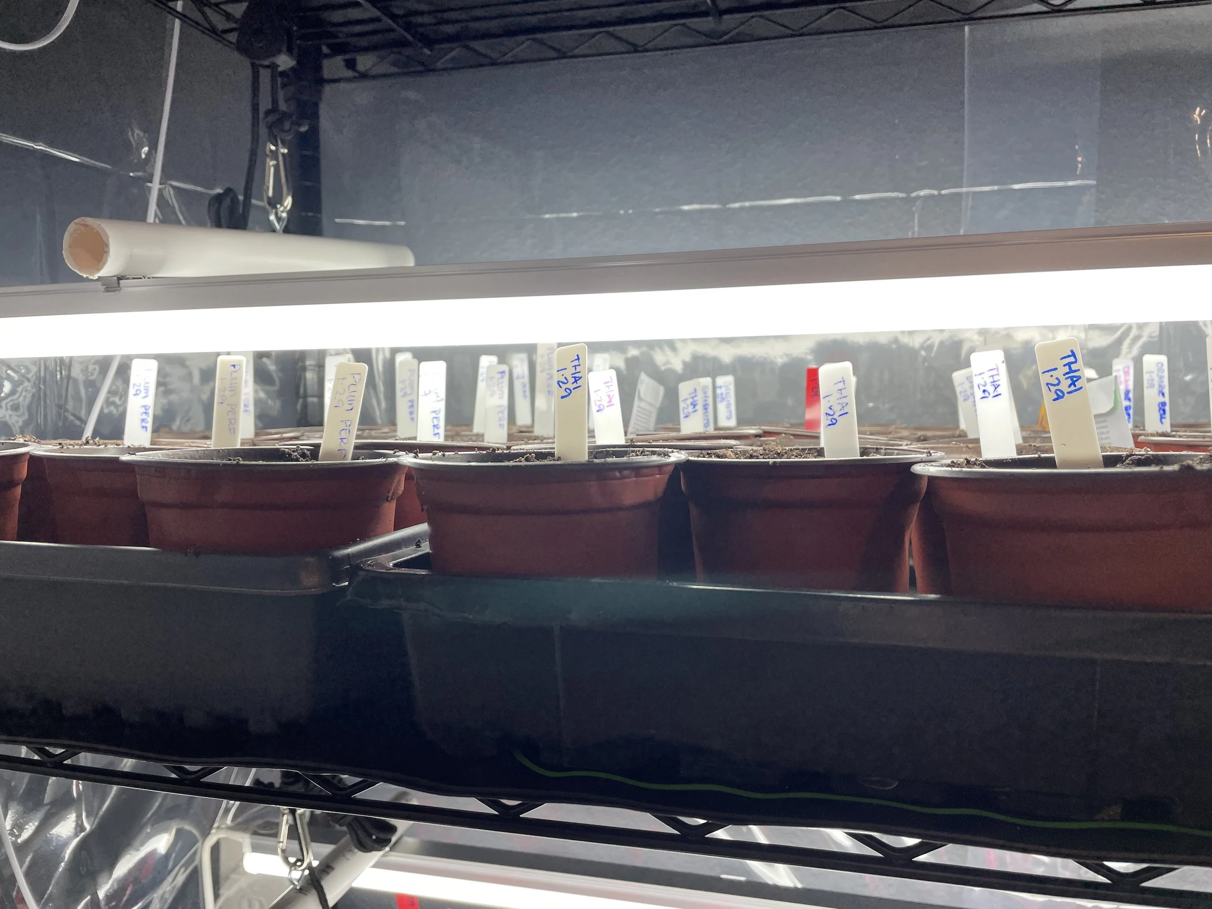 2025 DIY Indoor Seed-Starting Set-Up Using a 5-Shelf Wire Rack - Our ...