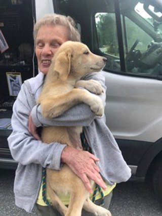 Golden Huggs Rescue, Inc.