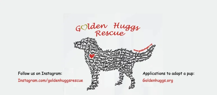 Golden Huggs Rescue, Inc.