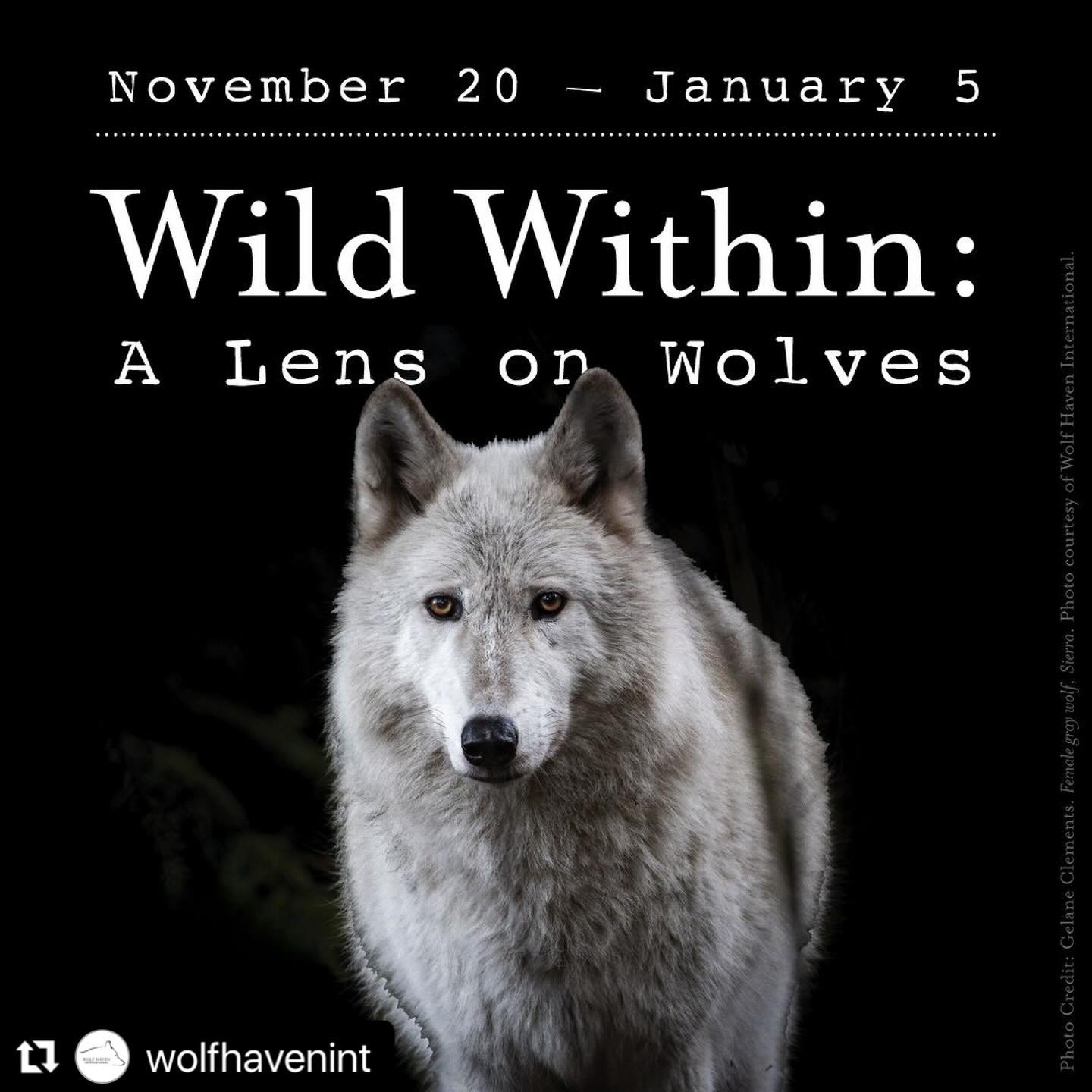 Archive: A Glimpse at the Robert M. Minkoff Foundation Collection ...