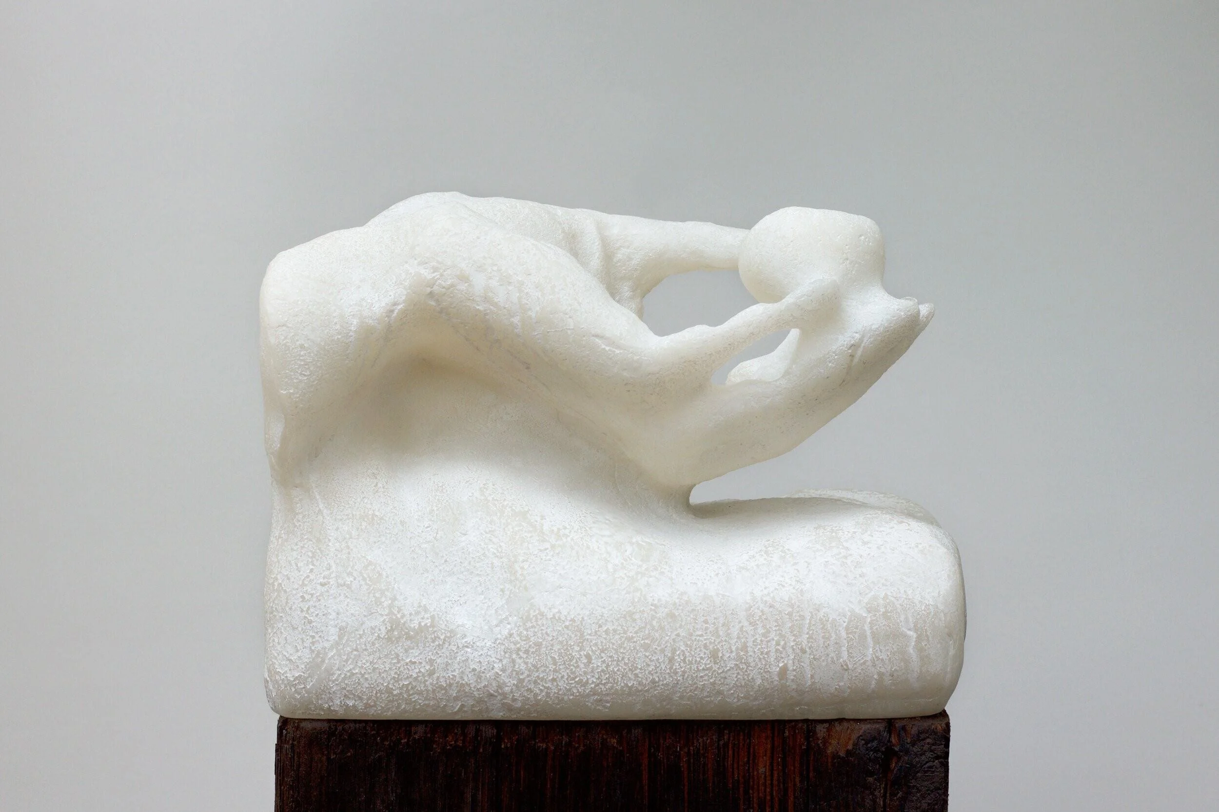 Imitating Nature is a Rigorous Practice: An Interview with Curator ...