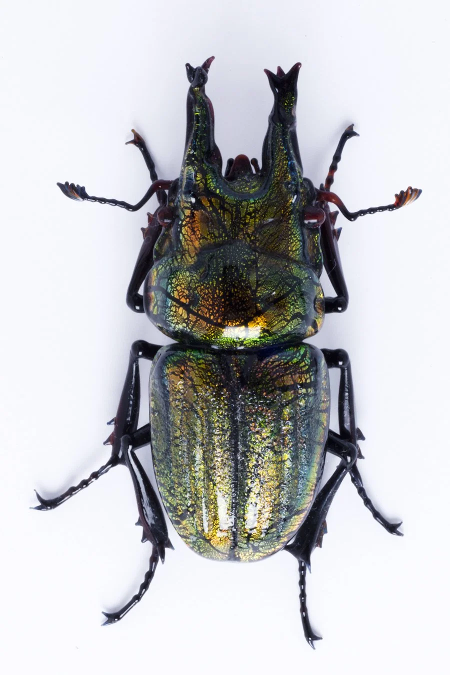 Imitating Nature is a Rigorous Practice: An Interview with Curator ...