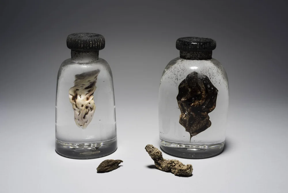 Archive: A Two-Way Mirror — Museum of Glass