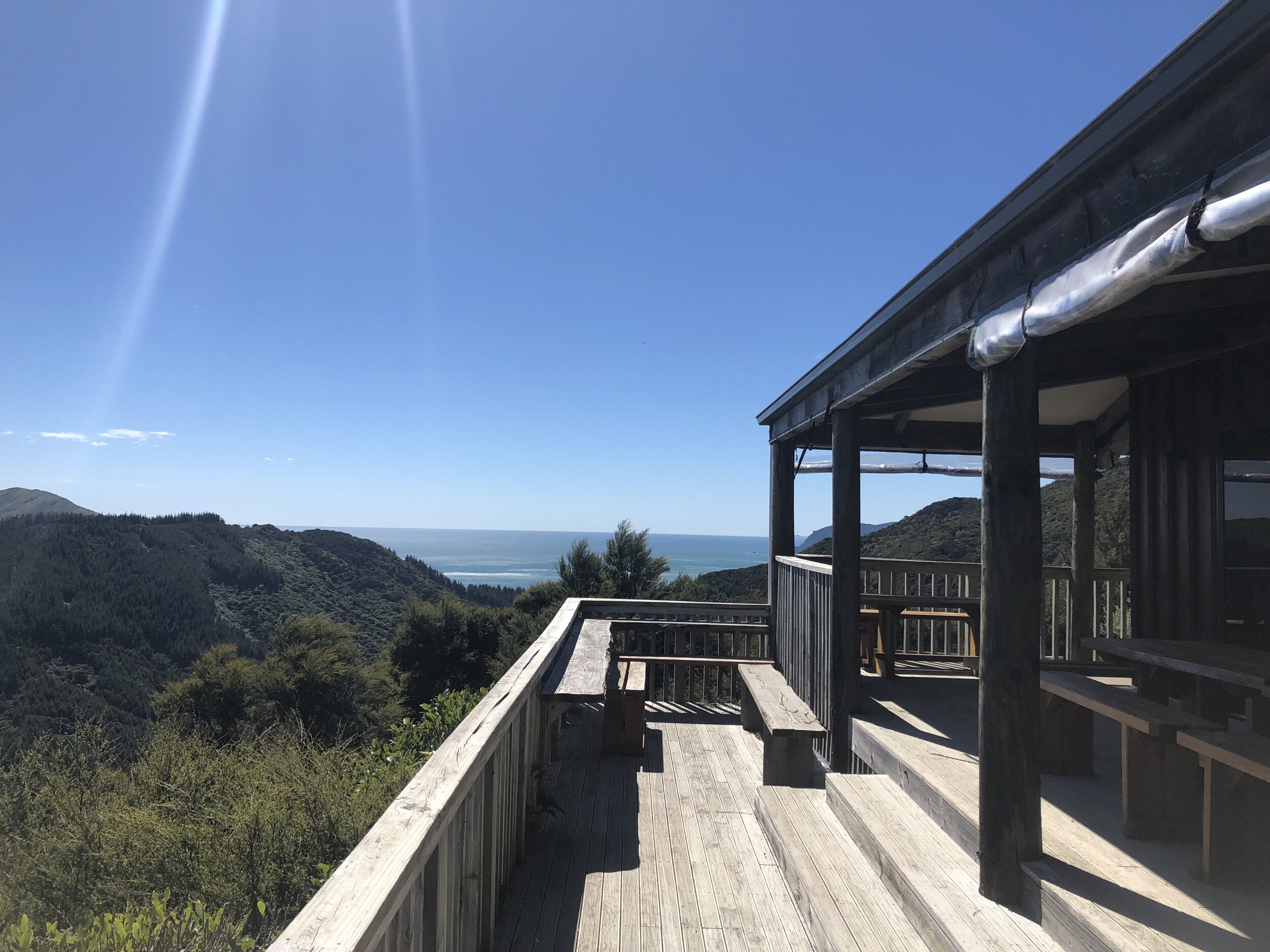 Base Cafe — Cable Bay Adventure Park