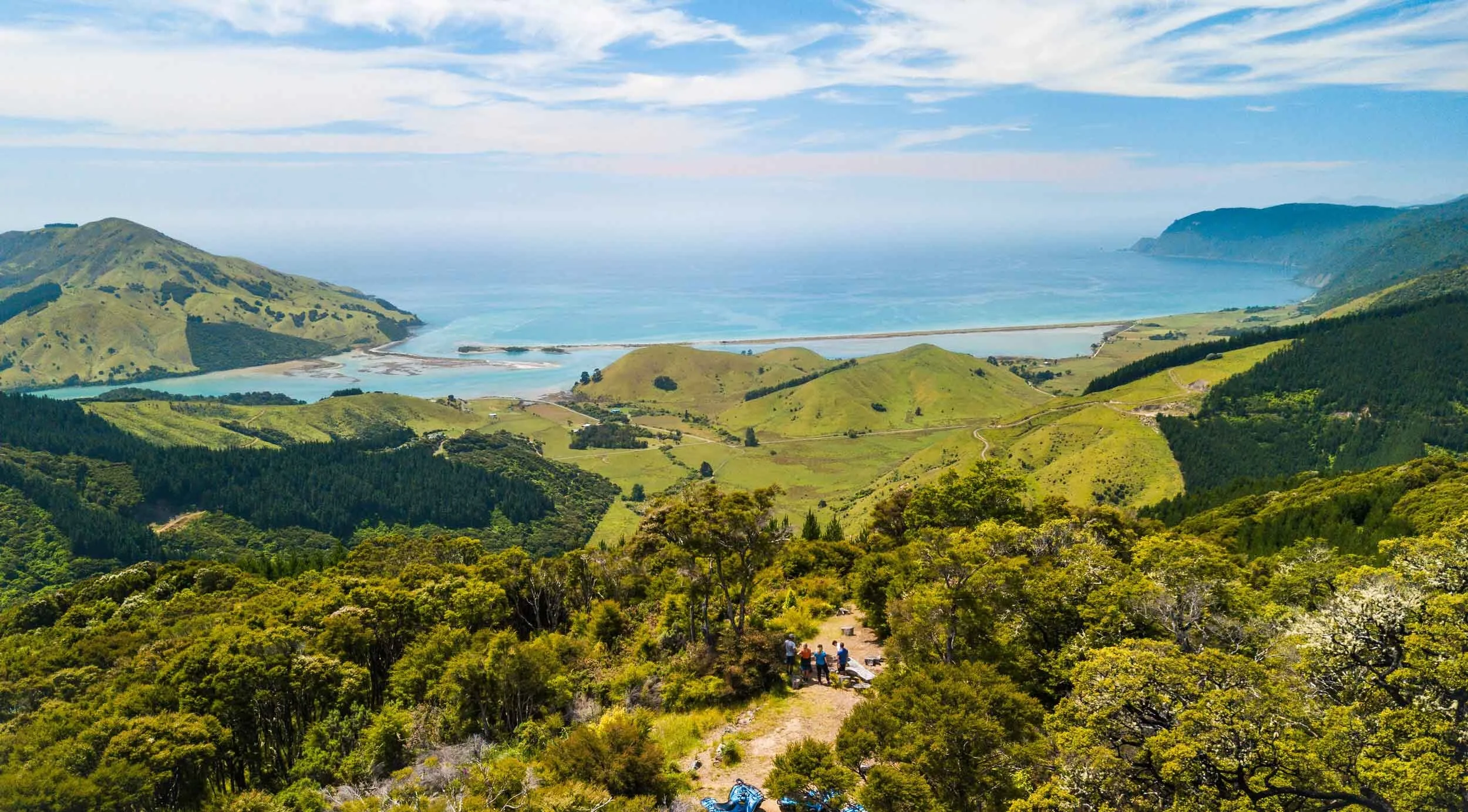 Groups — Cable Bay Adventure Park