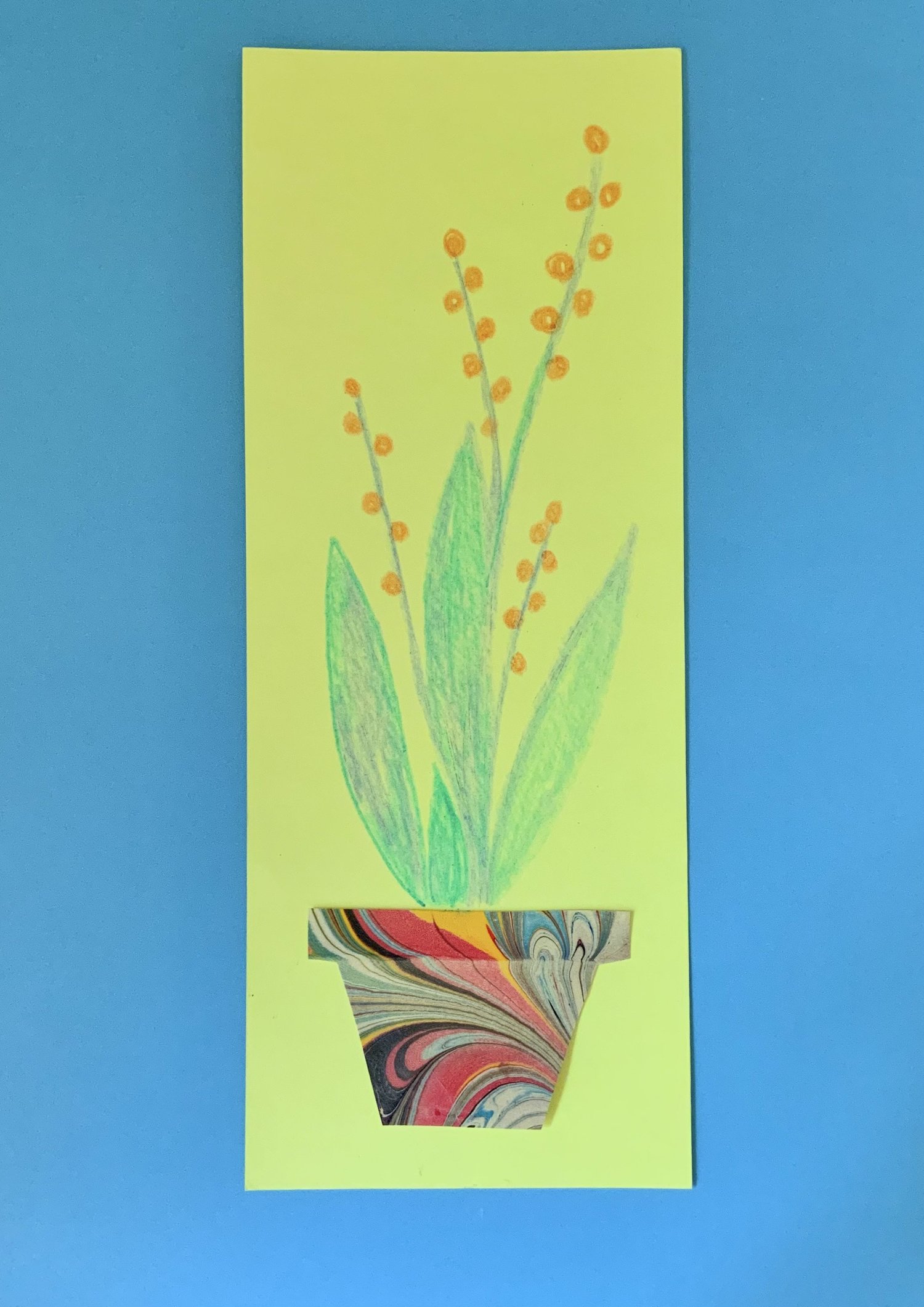 Activities — Elly MacKay