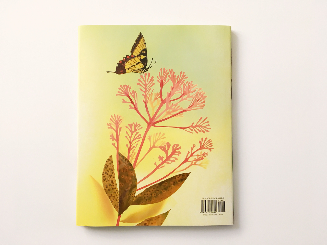 Picture Books — Elly MacKay