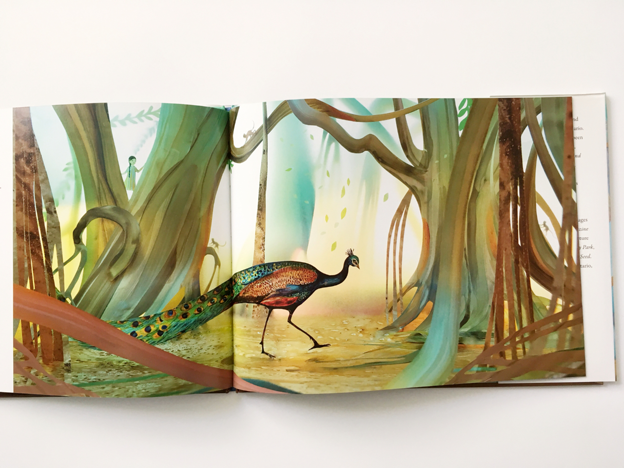 Picture Books — Elly MacKay