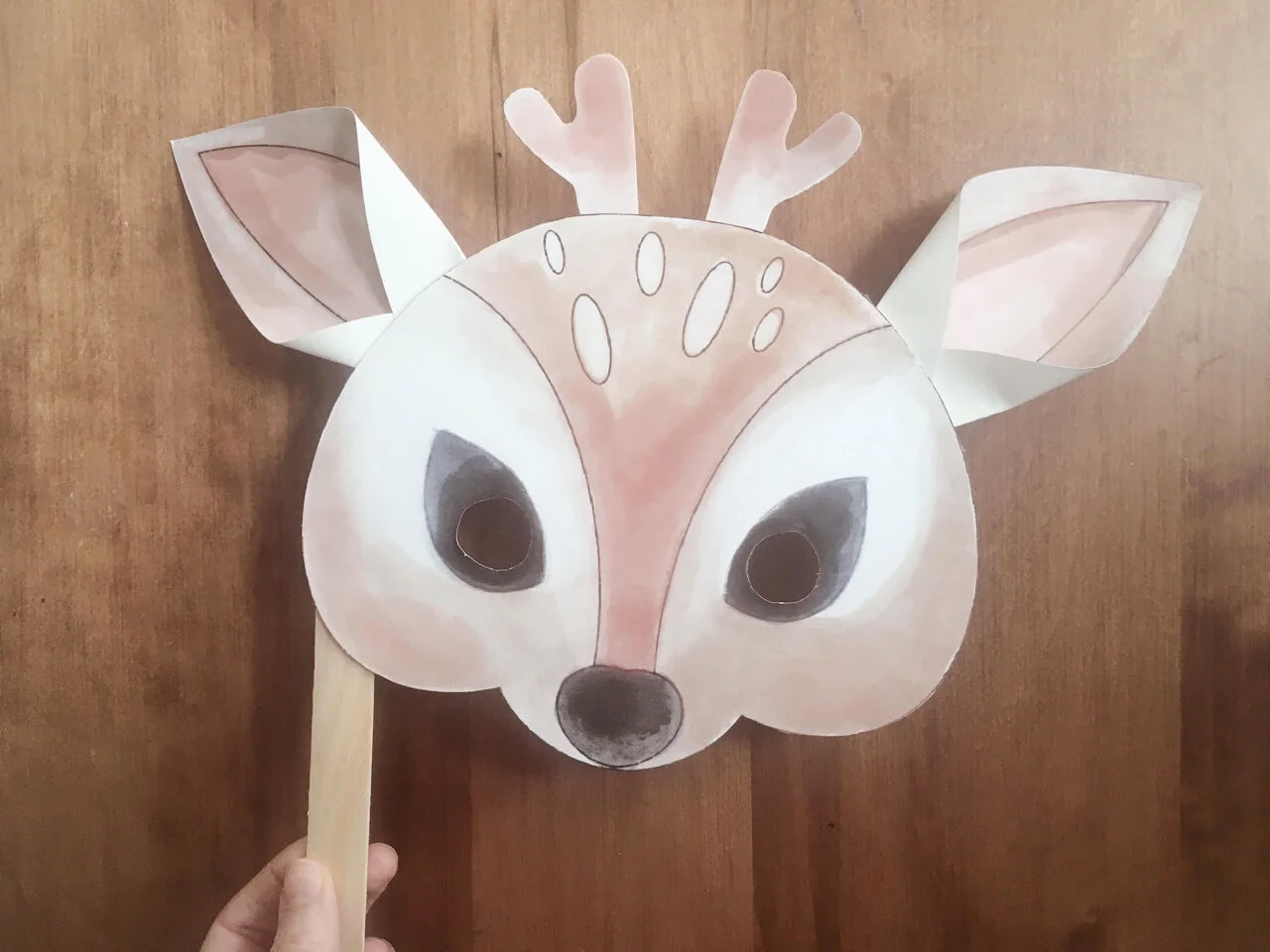 Activities — Elly MacKay