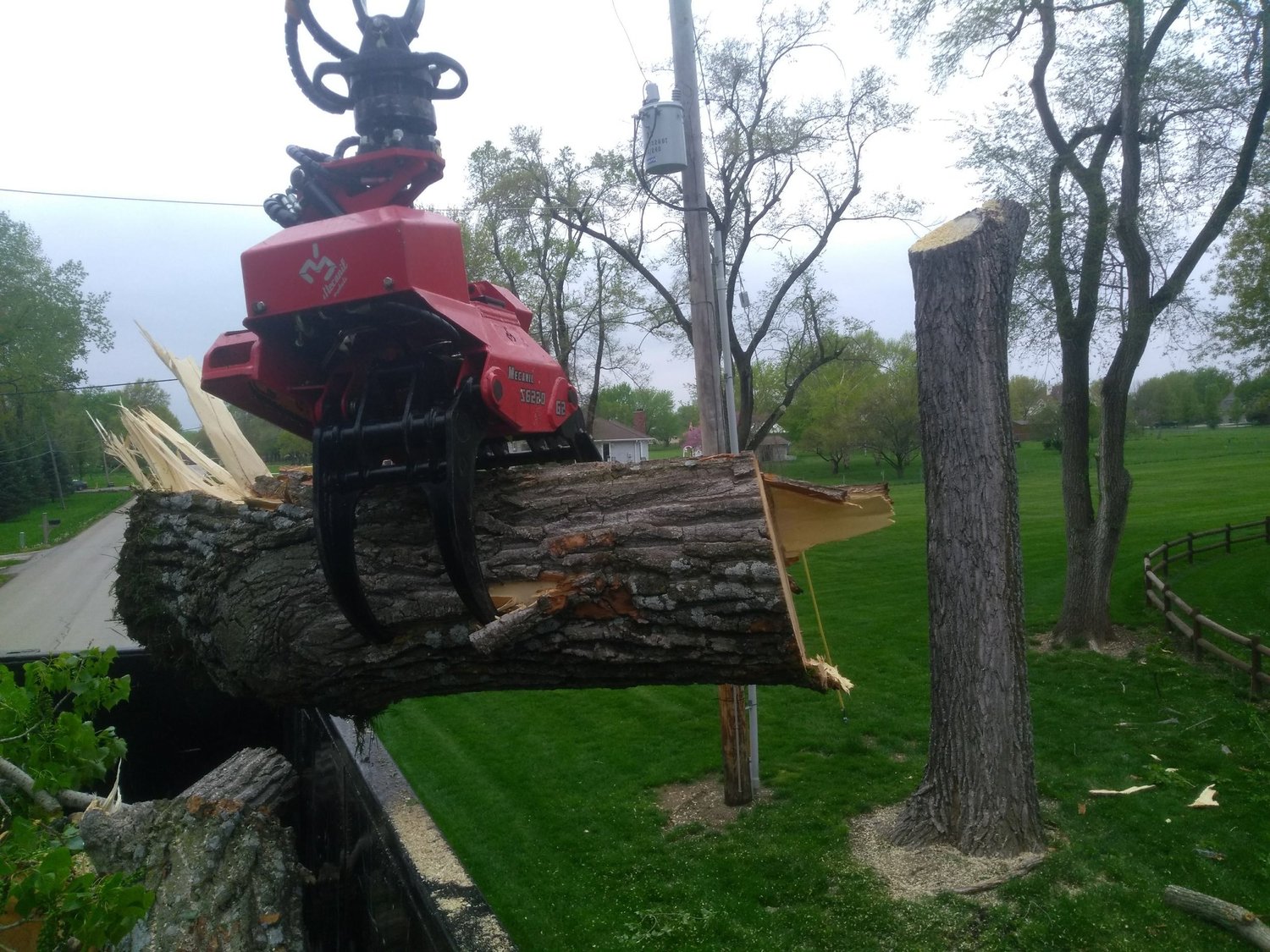 Photos — Iron Giant Tree Removal