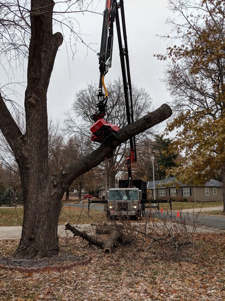 Photos — Iron Giant Tree Removal