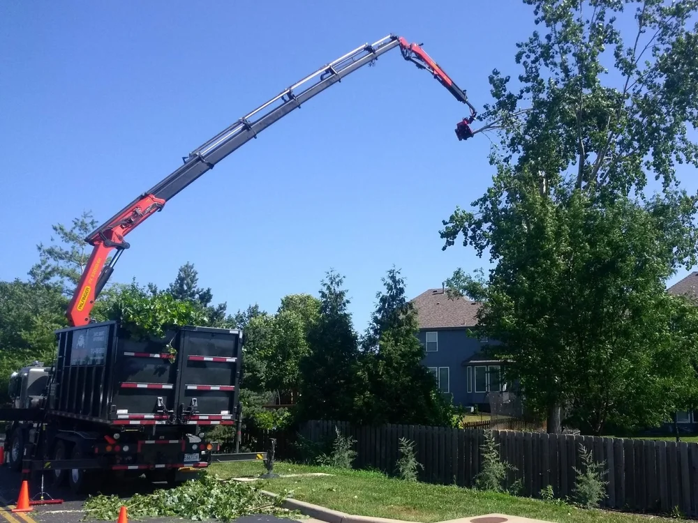 Photos — Iron Giant Tree Removal