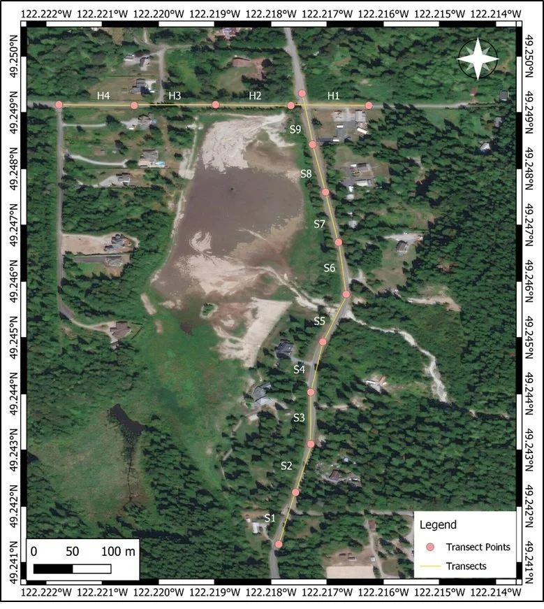 Western Toad Migration Project — Coastal Partners in Conservation