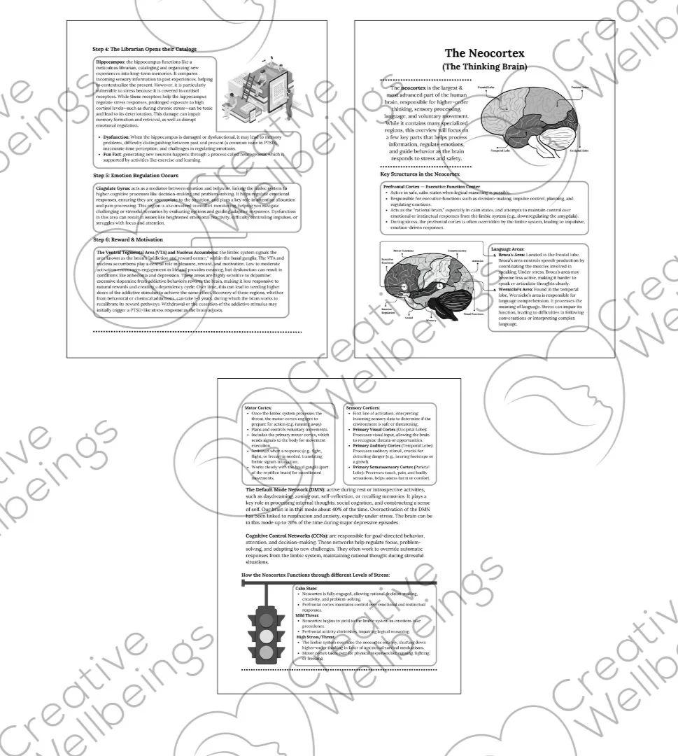 Triune Brain Handouts (2025) — Creative Wellbeings, PLLC
