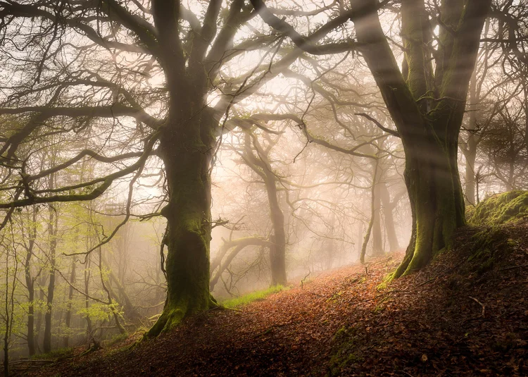 Two years of Landscape photography with the Olympus OM-D Em1 Mark II ...