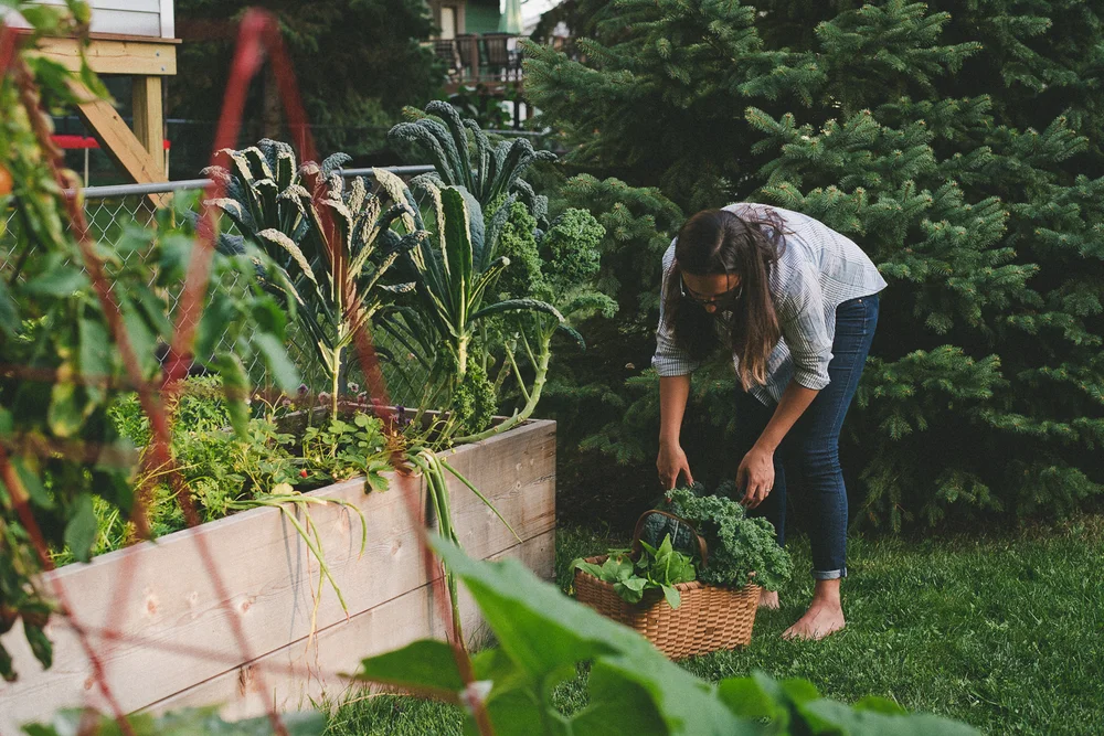 Garden Planning — Acre