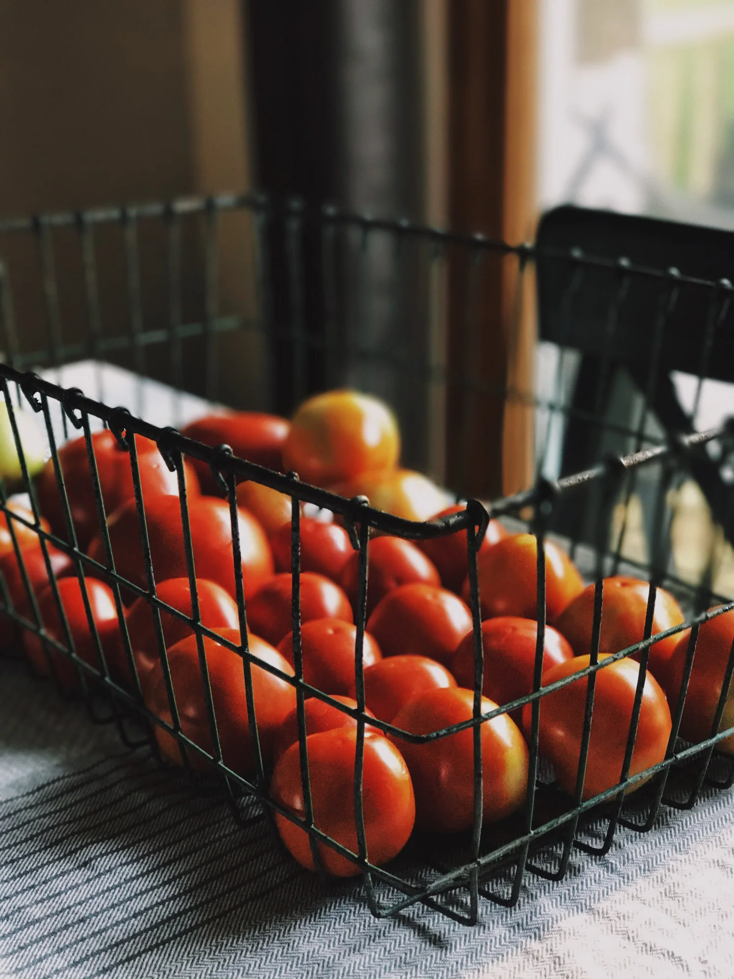 Tomatoes & Squash — Acre