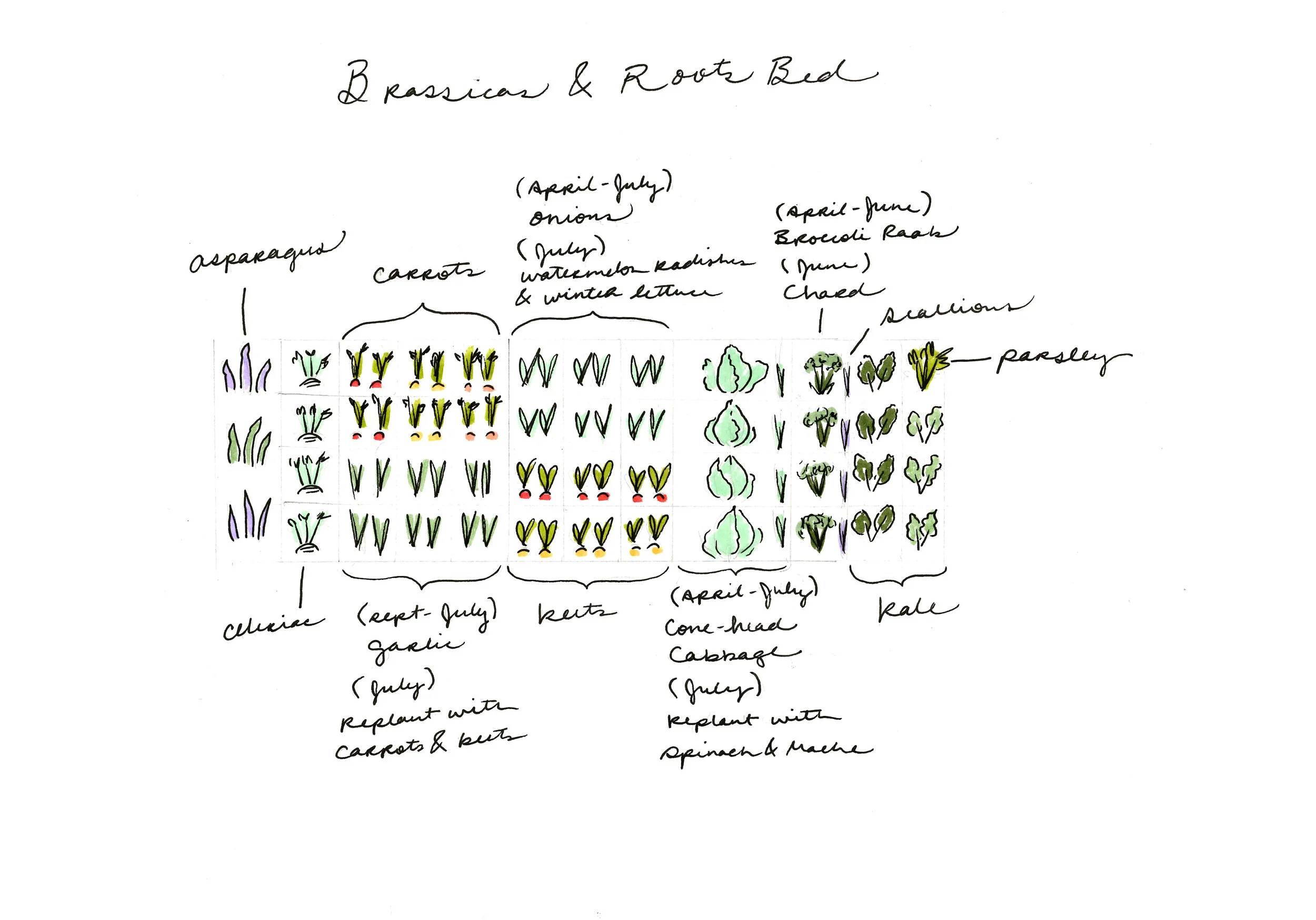 My Garden Beds — Acre