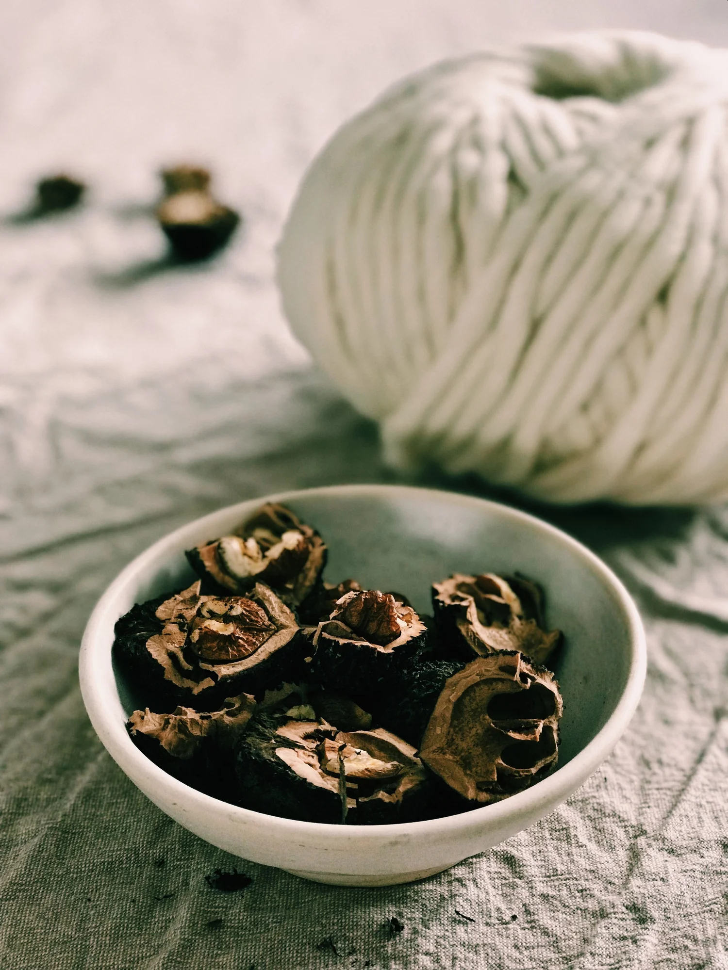 Black Walnut-Dyed Yarn: My Dyeing Process — Acre