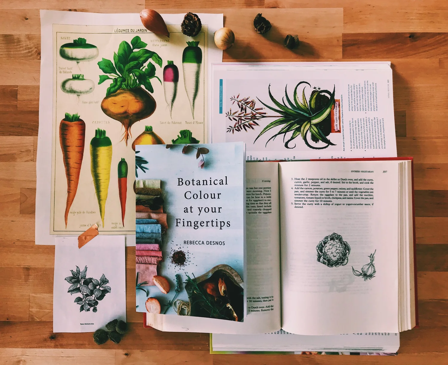 Learning How to Make & Use Natural Dye — Acre