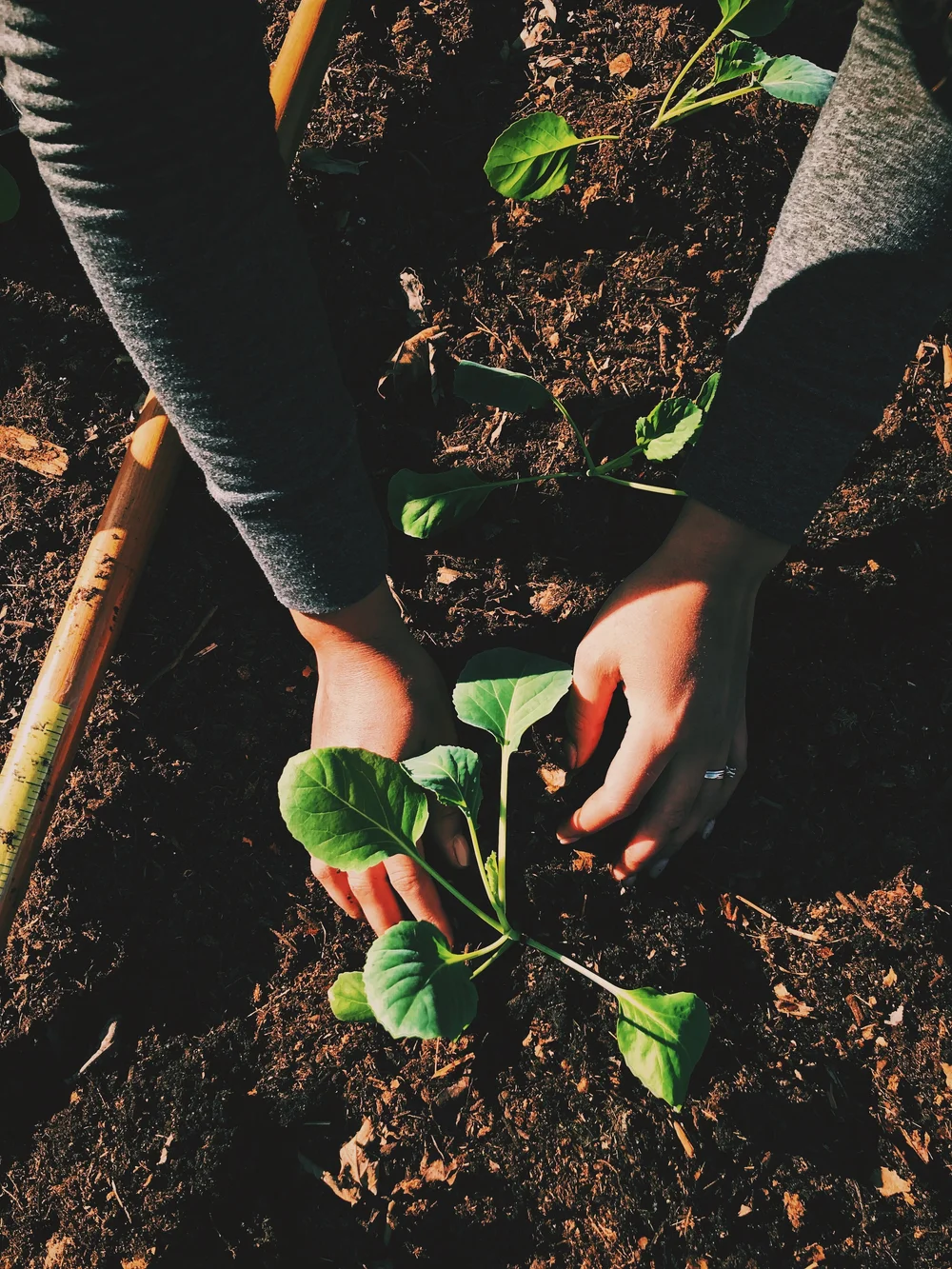 5 Tips for Planting Day — Acre