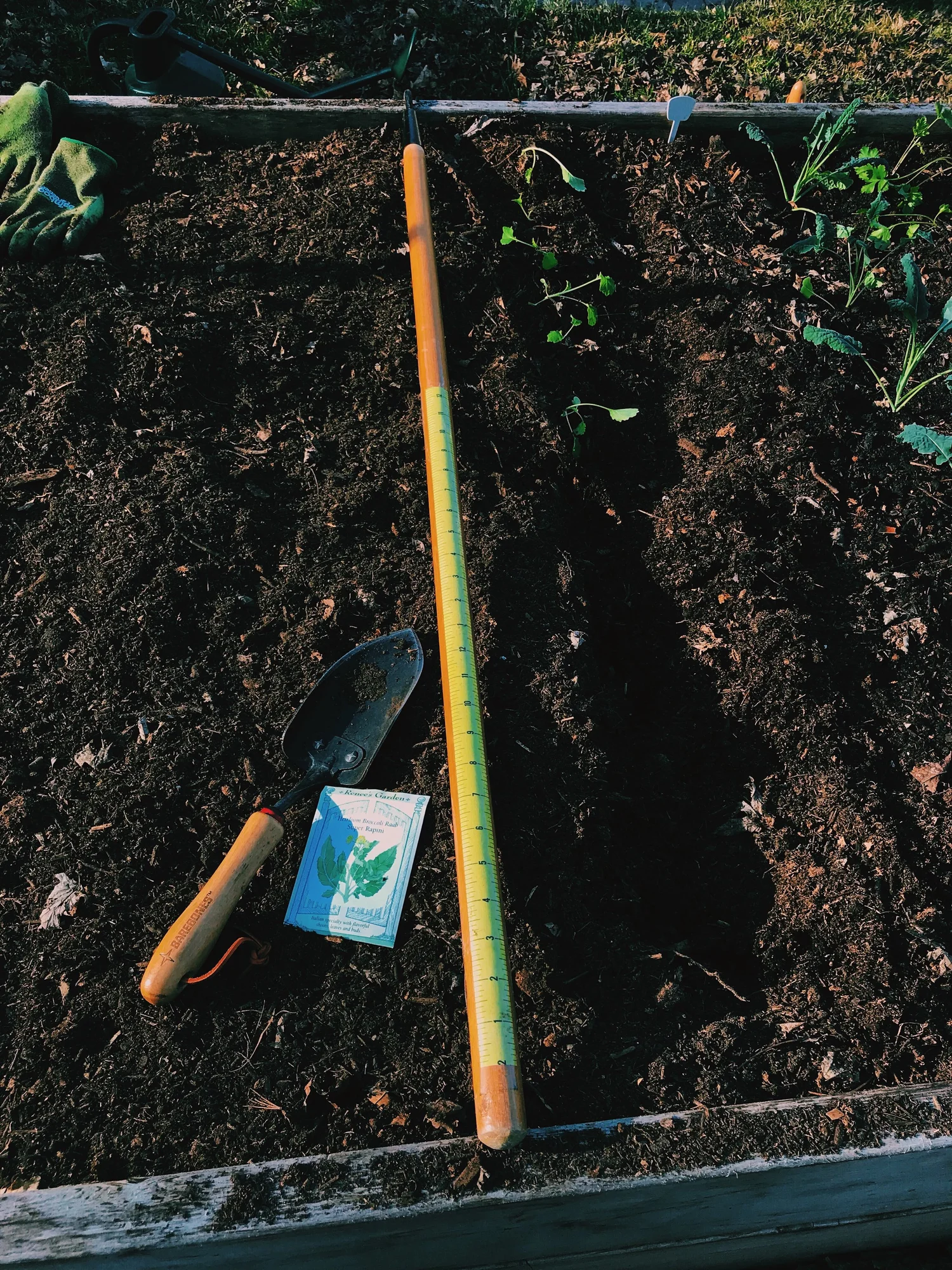 5 Tips for Planting Day — Acre