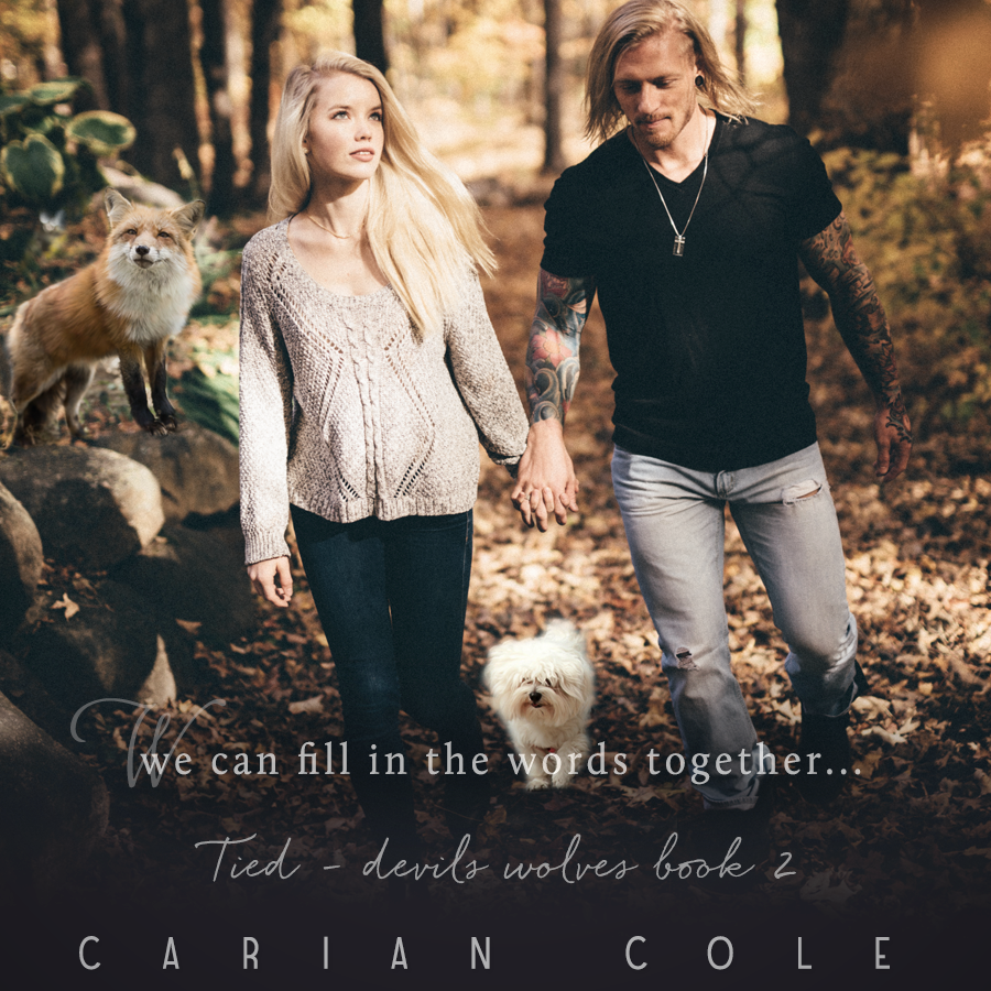 Teasers — Carian Cole | Bestselling Romance Author