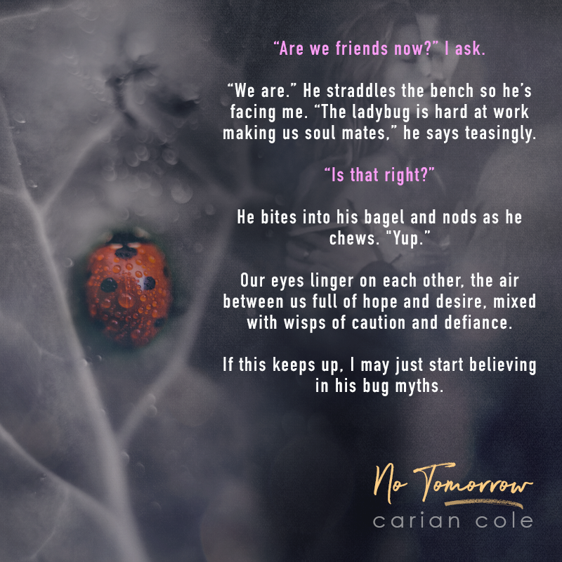 No Tomorrow — Carian Cole - Romance Author