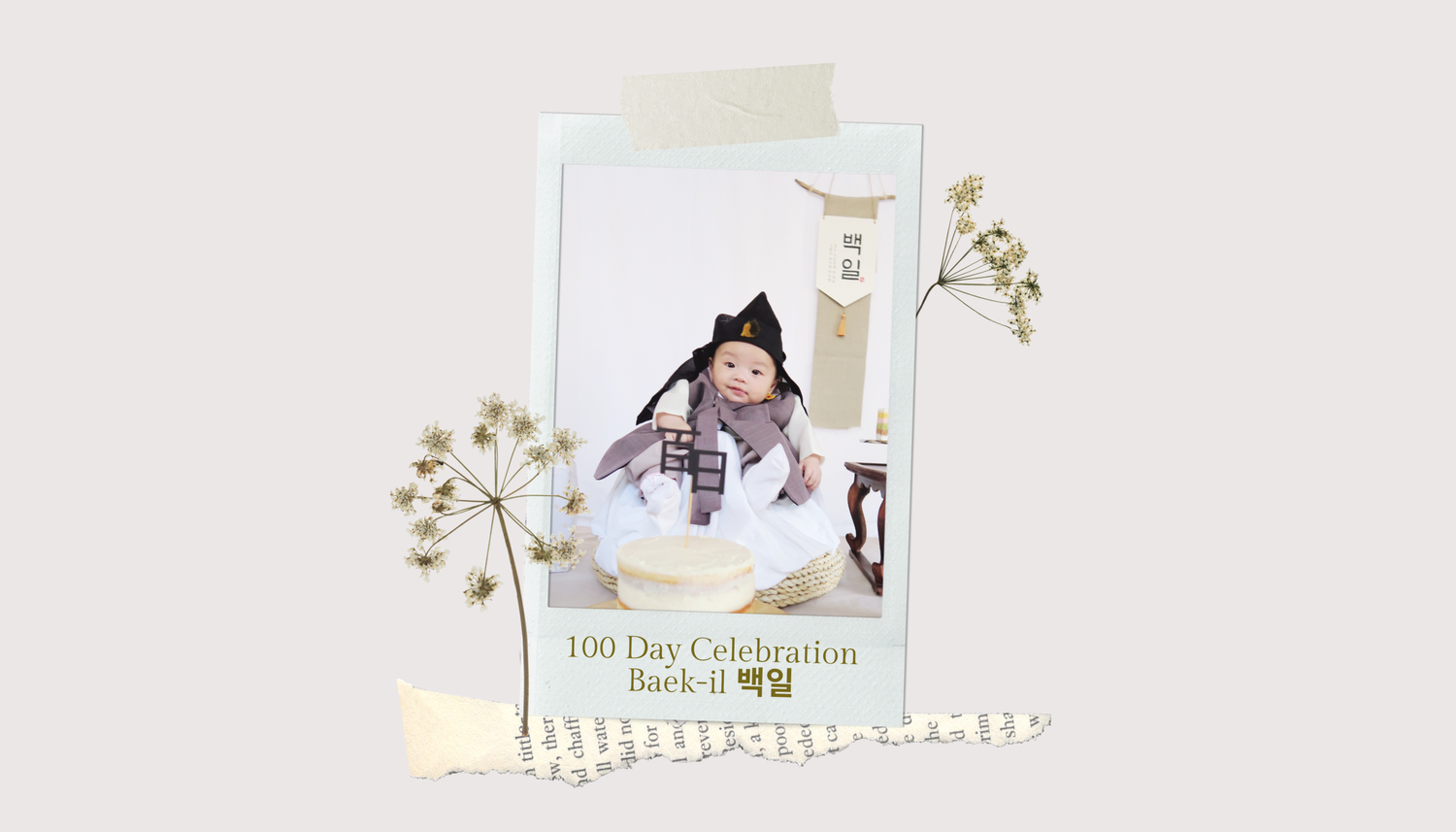 Korean 100 Days Celebration • Baek-il 백일 — Meehattan