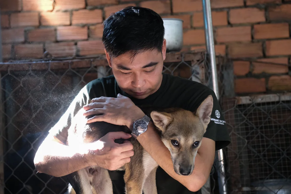 “I don’t want to kill these animals anymore”: owner of dog meat ...