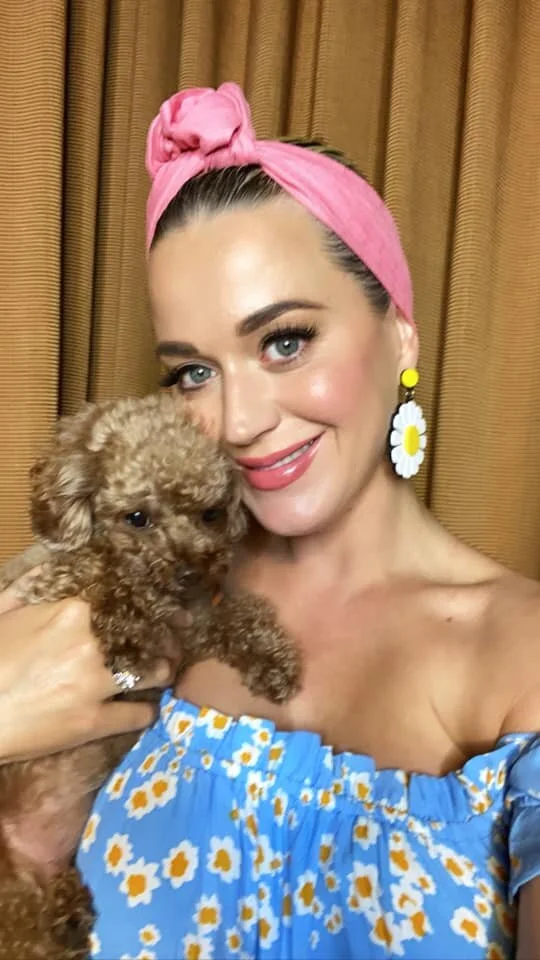 Katy Perry - And Her Dog - Go Vegan — Species Unite