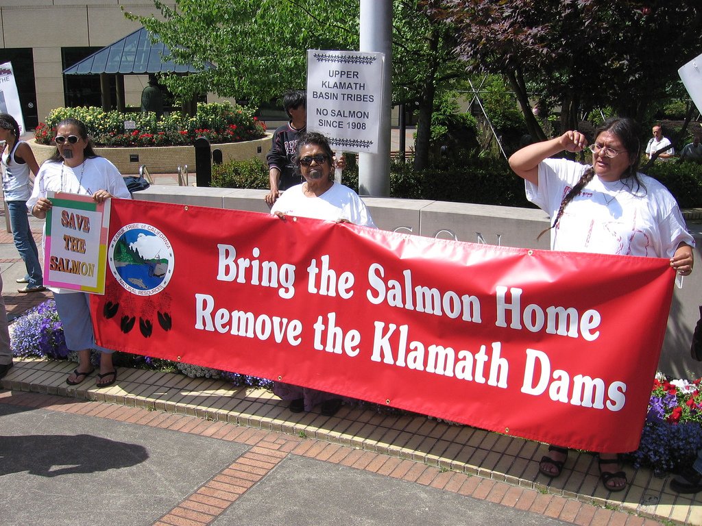 Restoring nature: Klamath River runs free for first time in a century ...