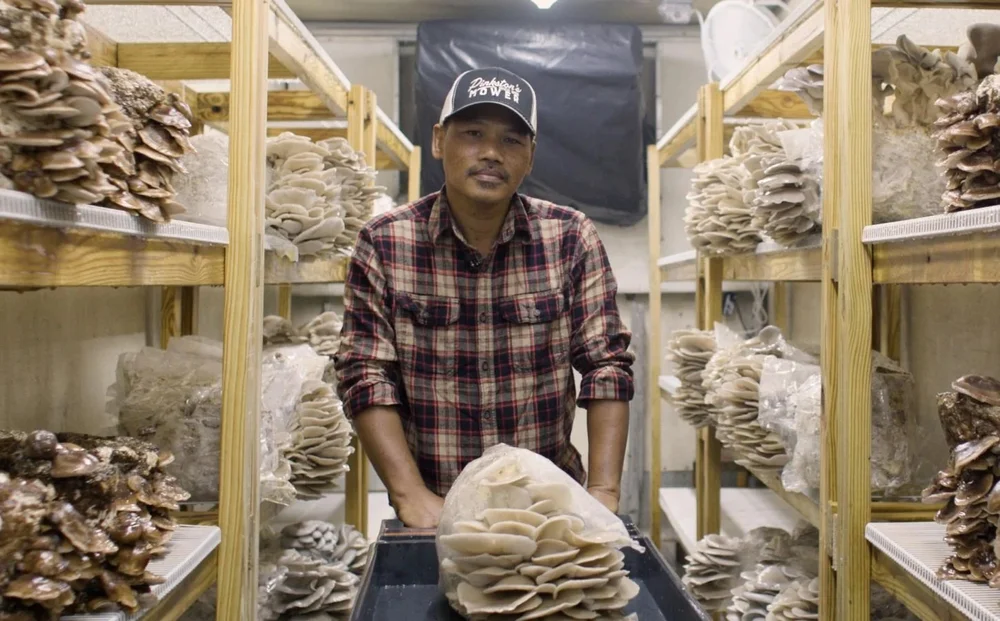 This chicken factory farm has been transformed into a hub for ...